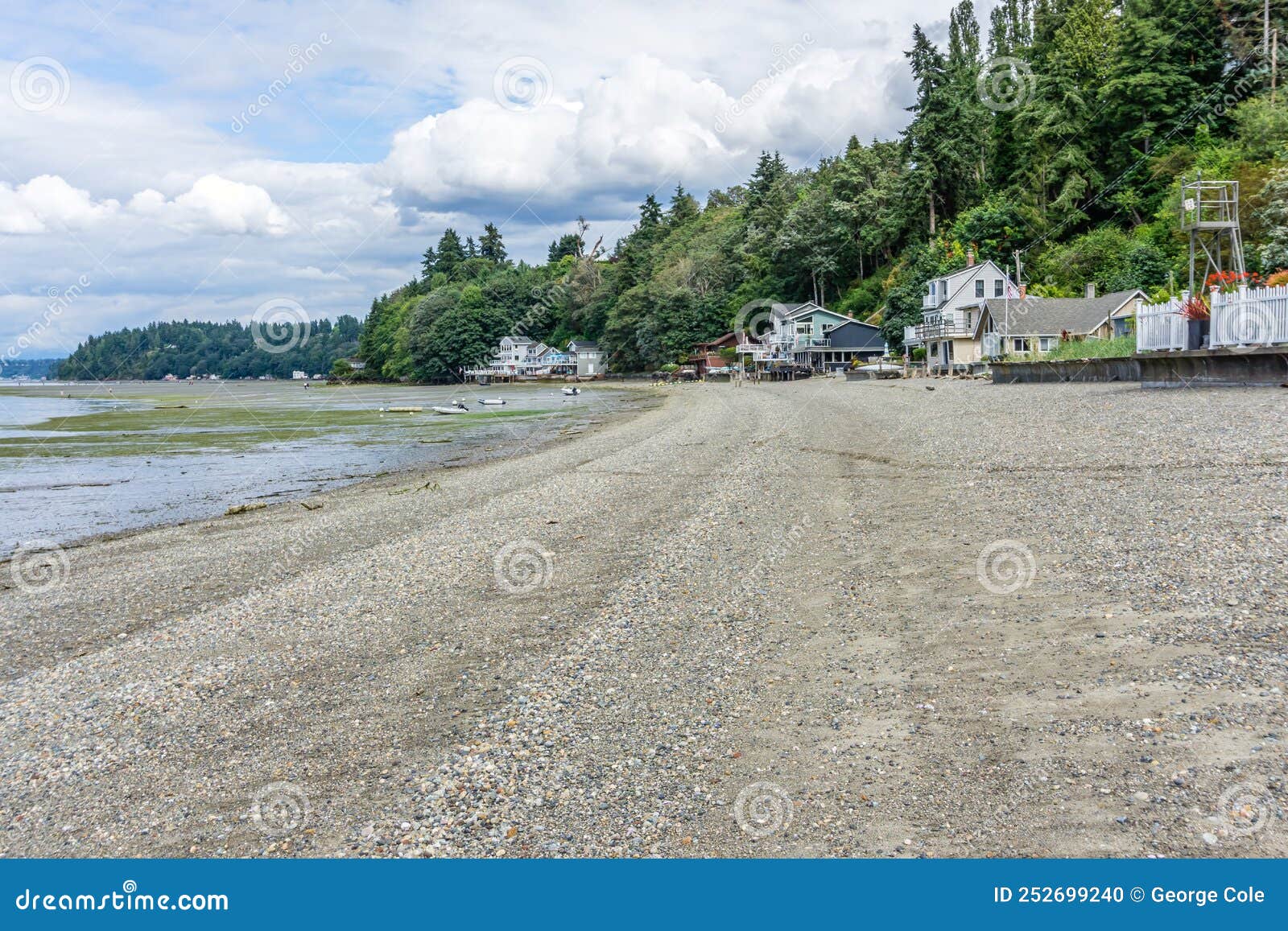 Dash Point Shore 3 stock photo. Image of dash, washington - 252699240