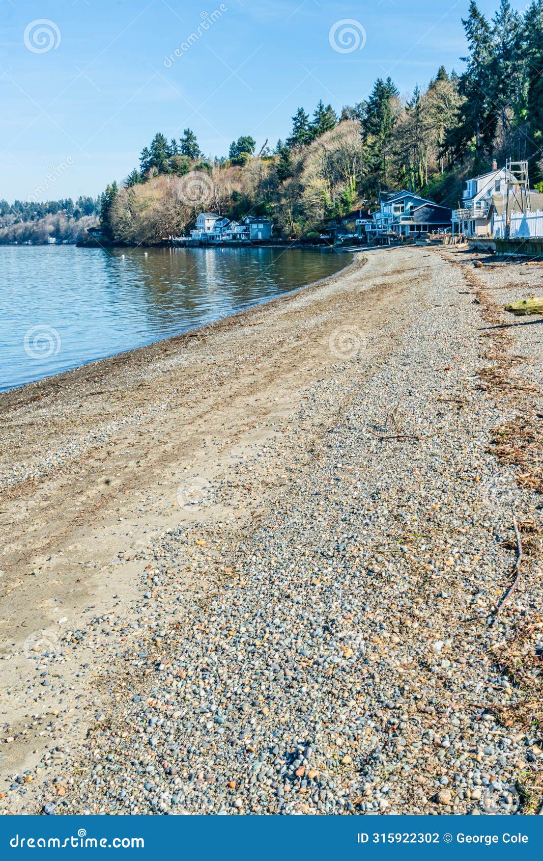 Dash Point View Homes 3 stock photo. Image of shoreline - 315922302
