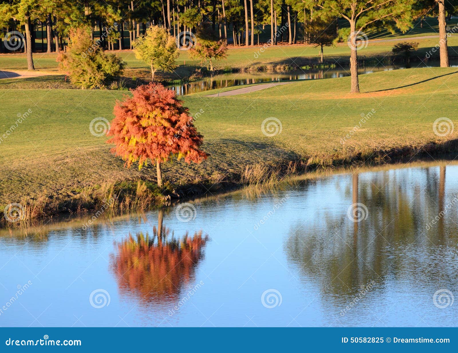 A Dash of Red Reflections stock image. Image of yellow - 50582825