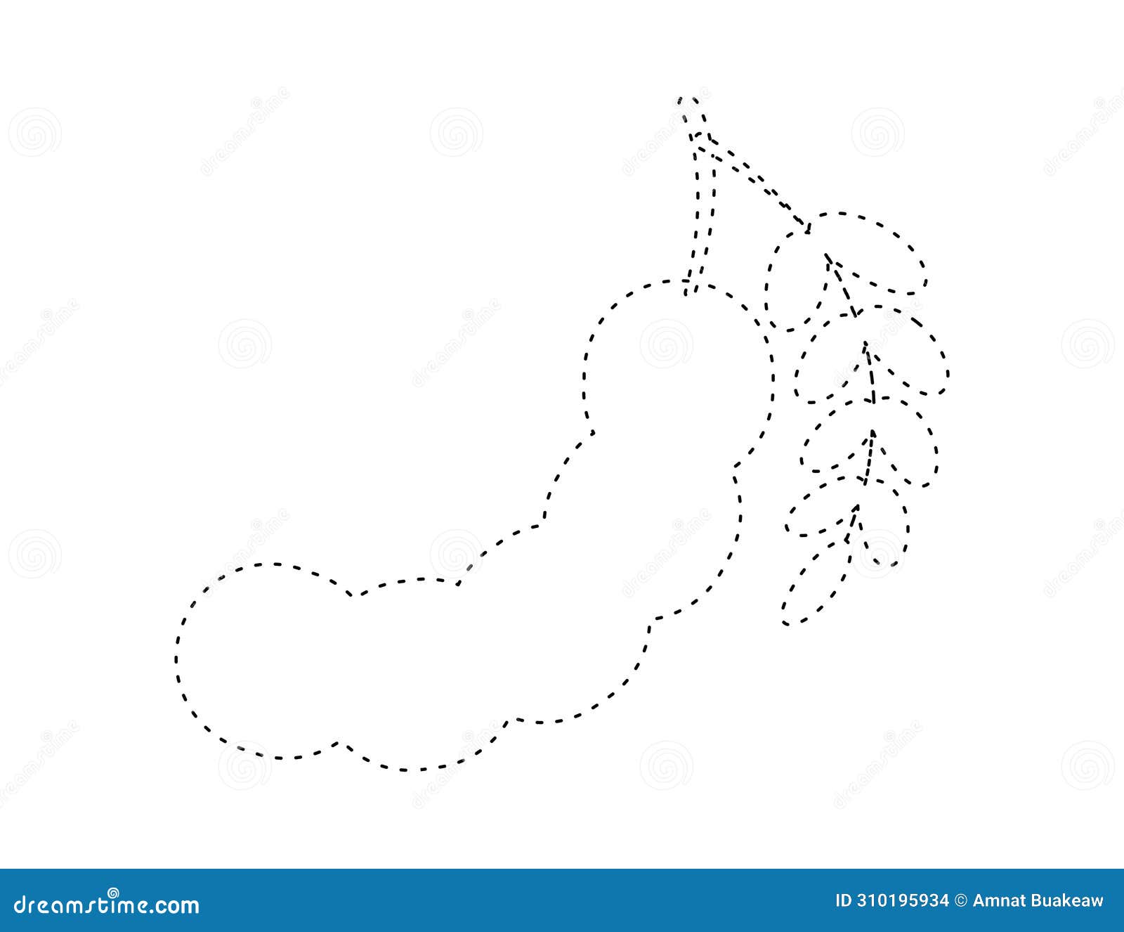 Tamarind Outline Icon Collection Or Set. Tamarind Thin Vector Line Art ...