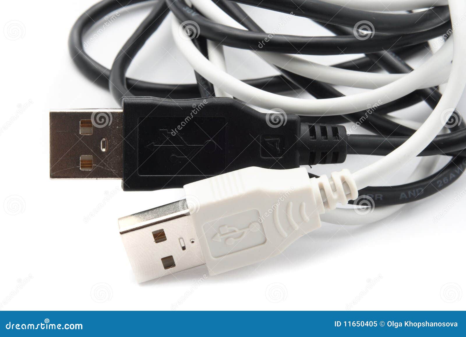Data cables stock image. Image of fast, plug, peripheral - 11650405