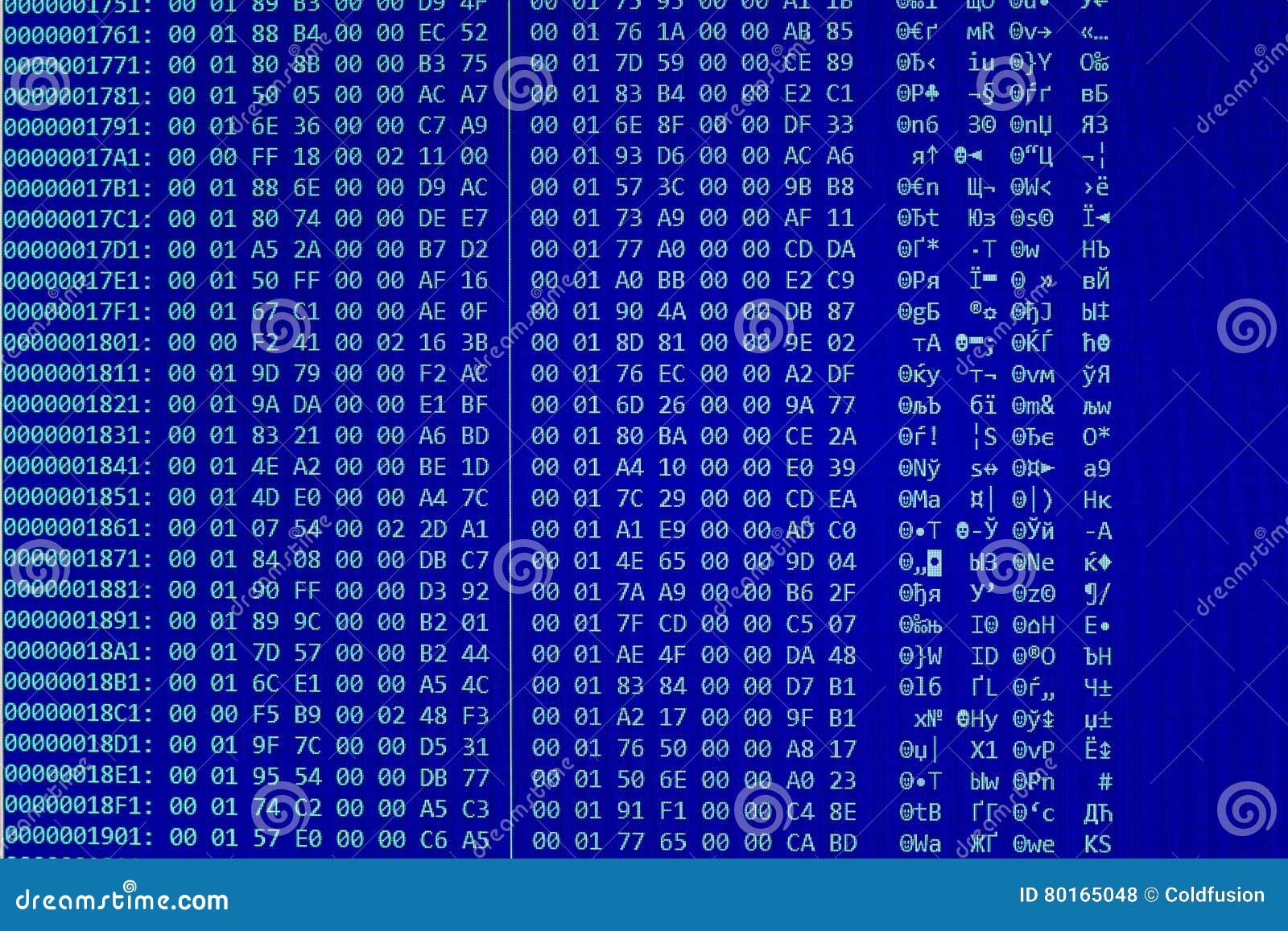 Data dump stock photo. Image of damp, mouse, character - 80165048