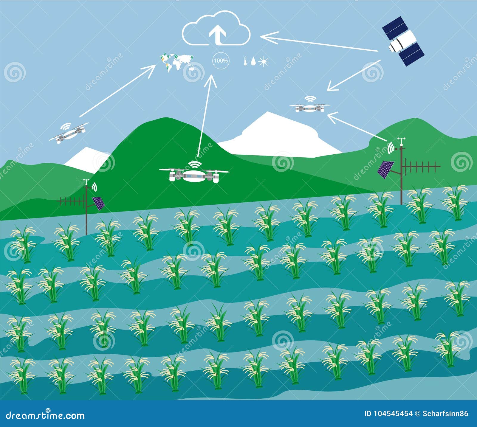 Rice Field. Technology in Agriculture Stock Vector - Illustration of ...