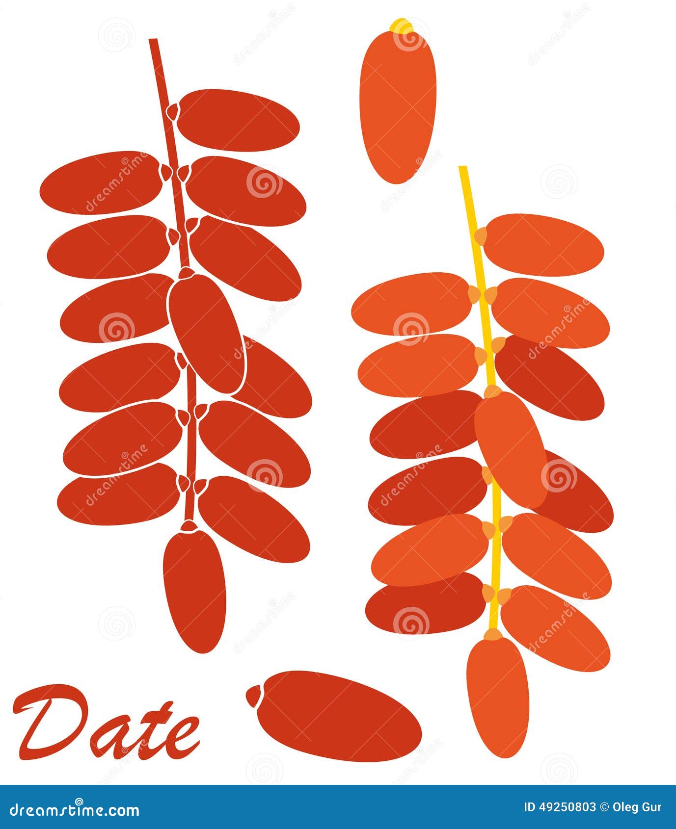 Data fruta ilustração do vetor. Ilustração de incomun - 49250803