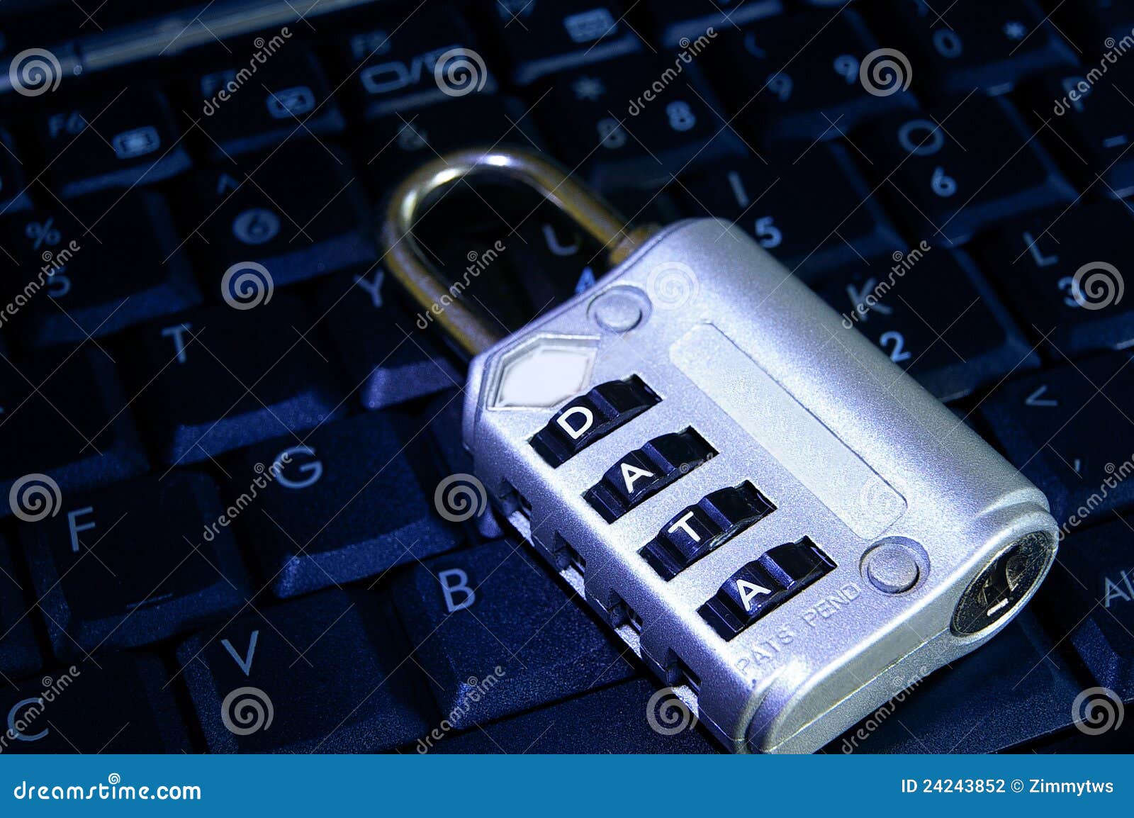Data lock stock photo. Image of protection, hacker, steal - 24243852