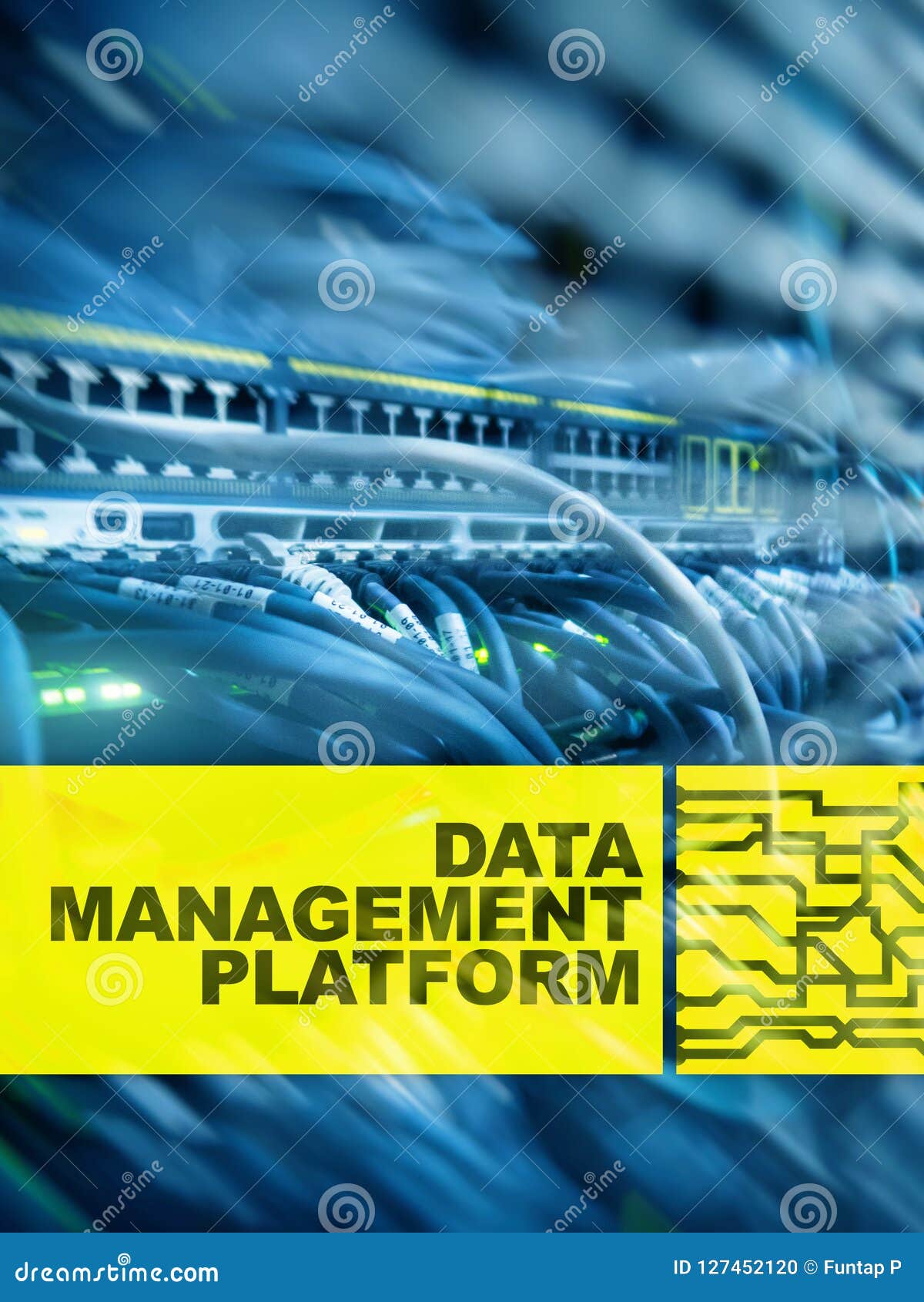 Data Management and Analysis Platform Concept on Server Room Background ...