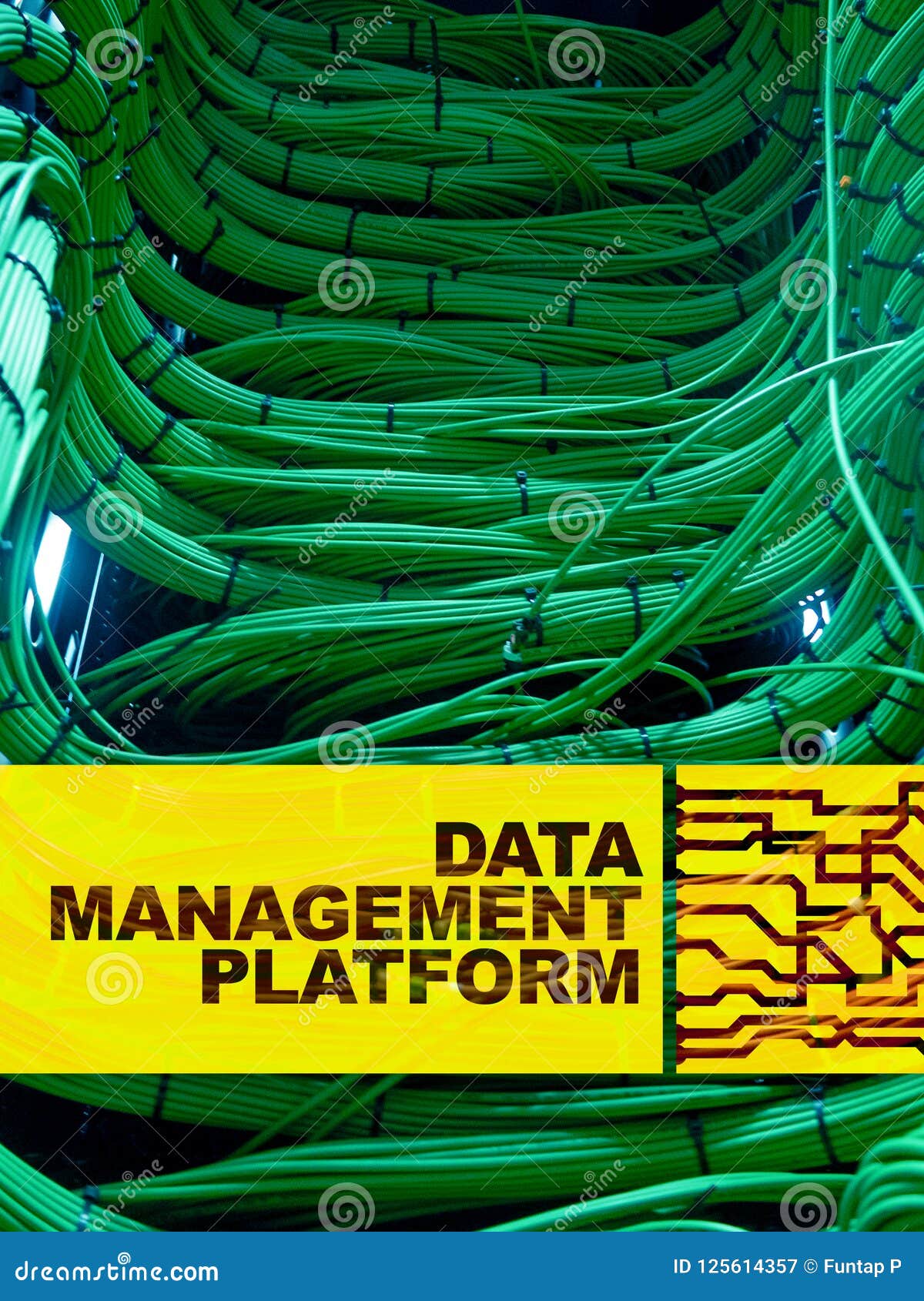 Data Management and Analysis Platform Concept on Server Room Background ...