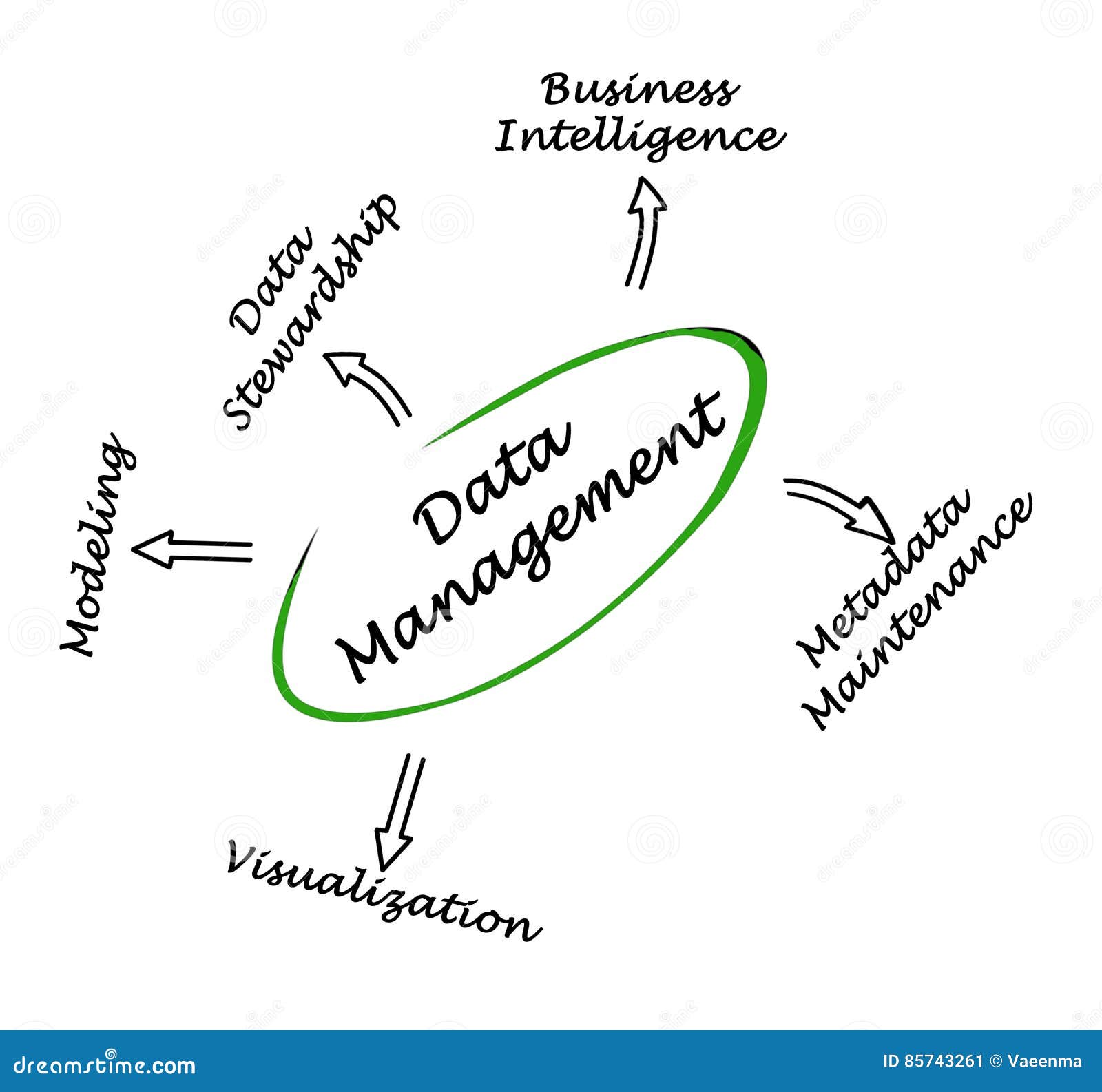 Data Management stock image. Image of model, modeling - 85743261