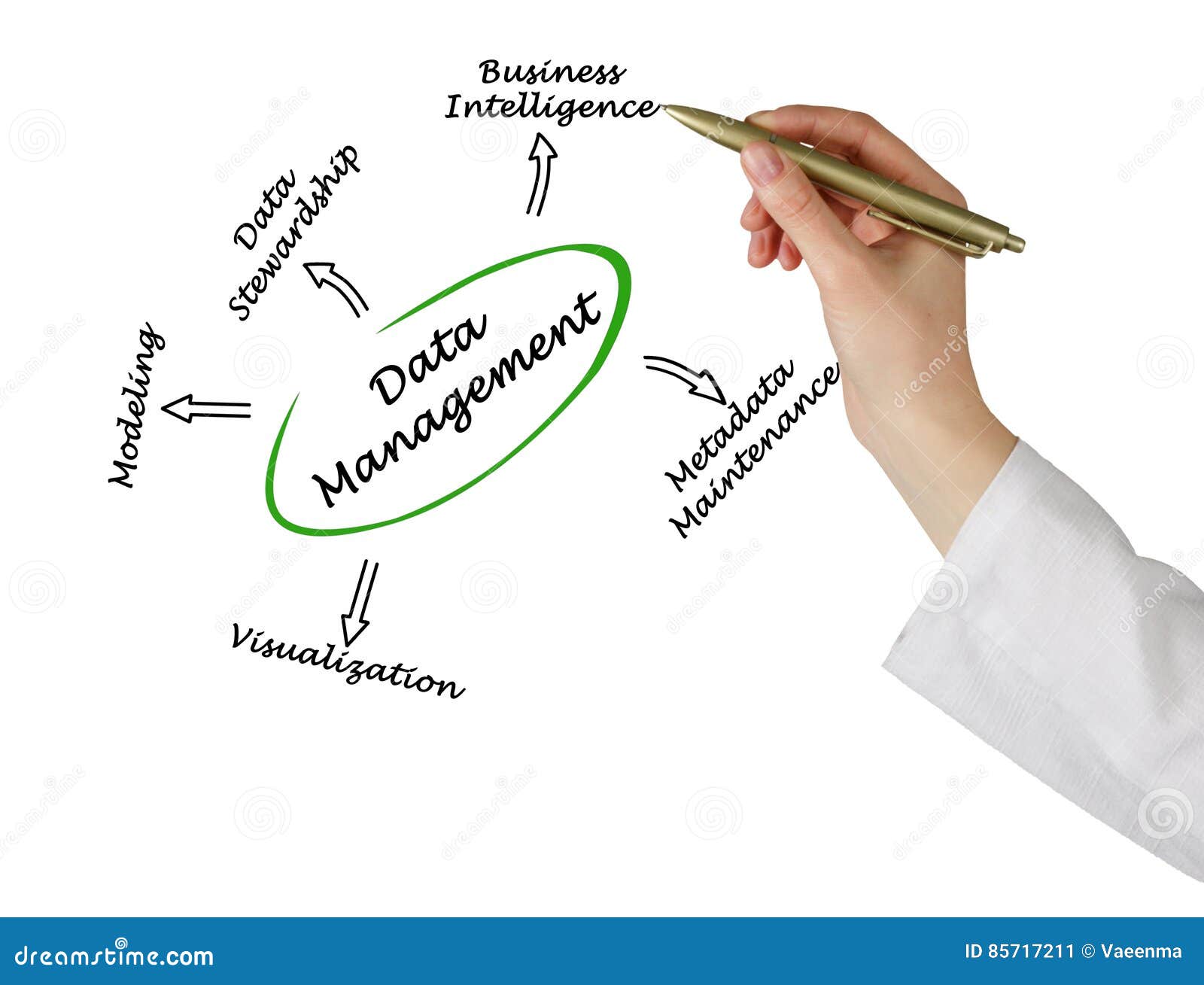 Data Management stock image. Image of drawing, data, business - 85717211