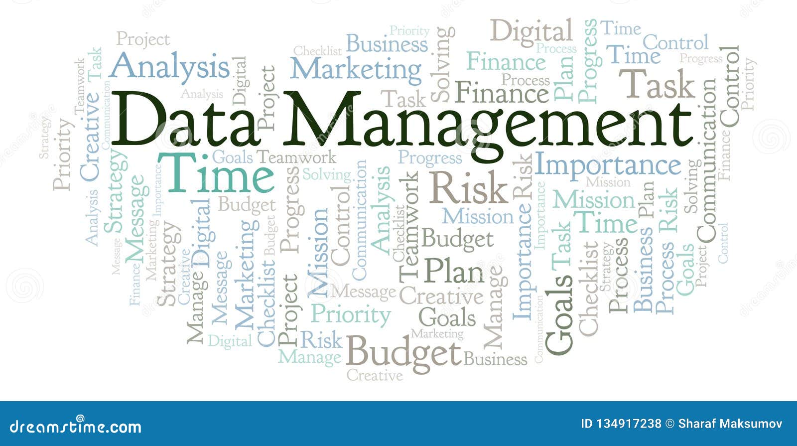 Data Management Word Cloud, Made with Text only Stock Illustration ...