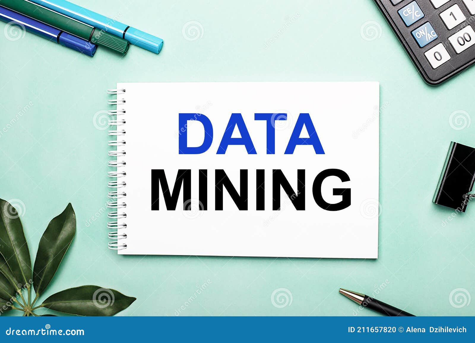 DATA MINING is Written on a White Sheet on a Blue Background Near the ...