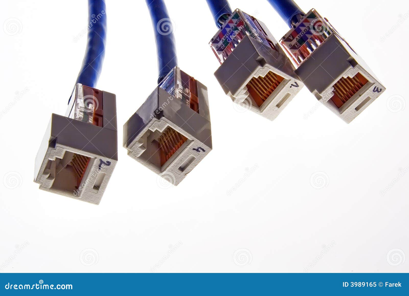 Data network cables stock image. Image of digital, communicate - 3989165