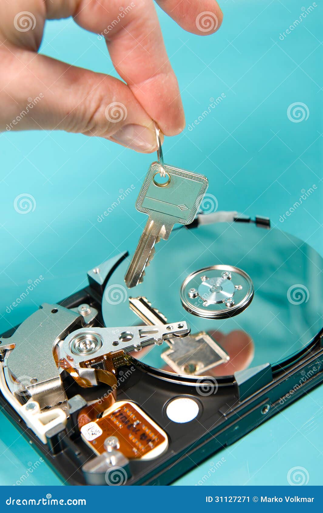 Data security stock image. Image of binary, security - 31127271