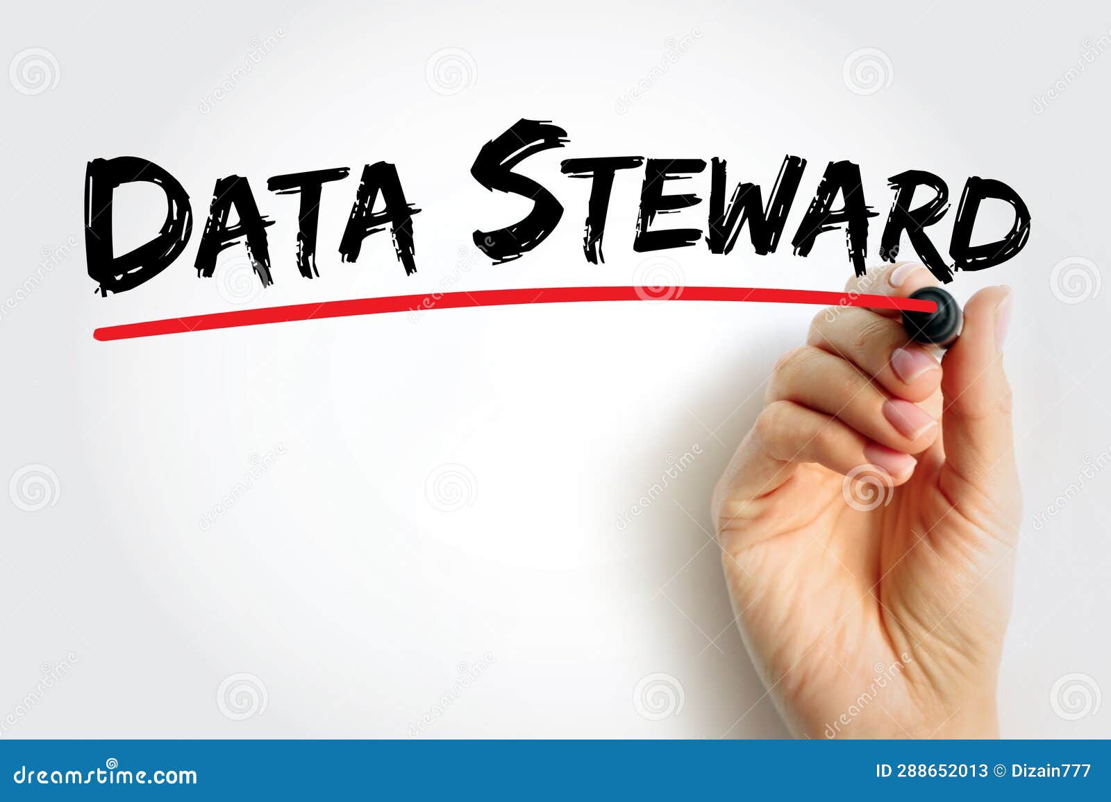 Data Steward - Oversight Or Data Governance Role Within An Organization ...