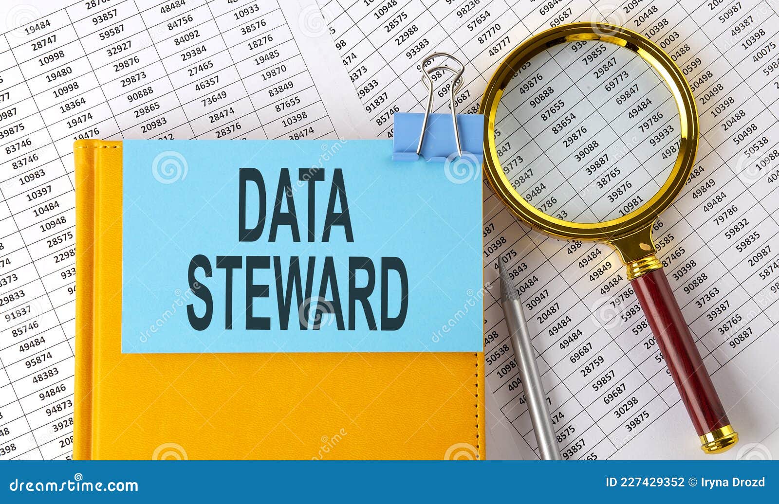 Data Steward - Oversight Or Data Governance Role Within An Organization ...