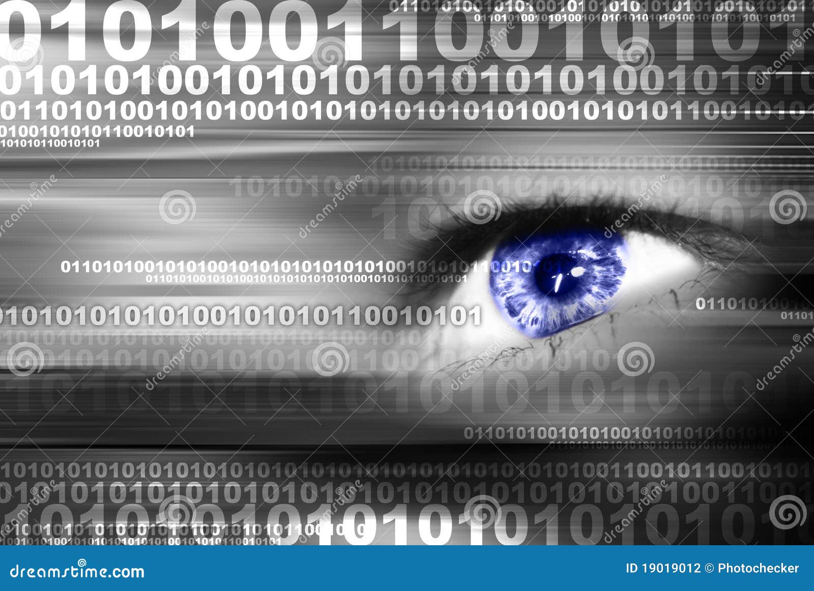 Data transfer stock photo. Image of display, high, identity - 19019012