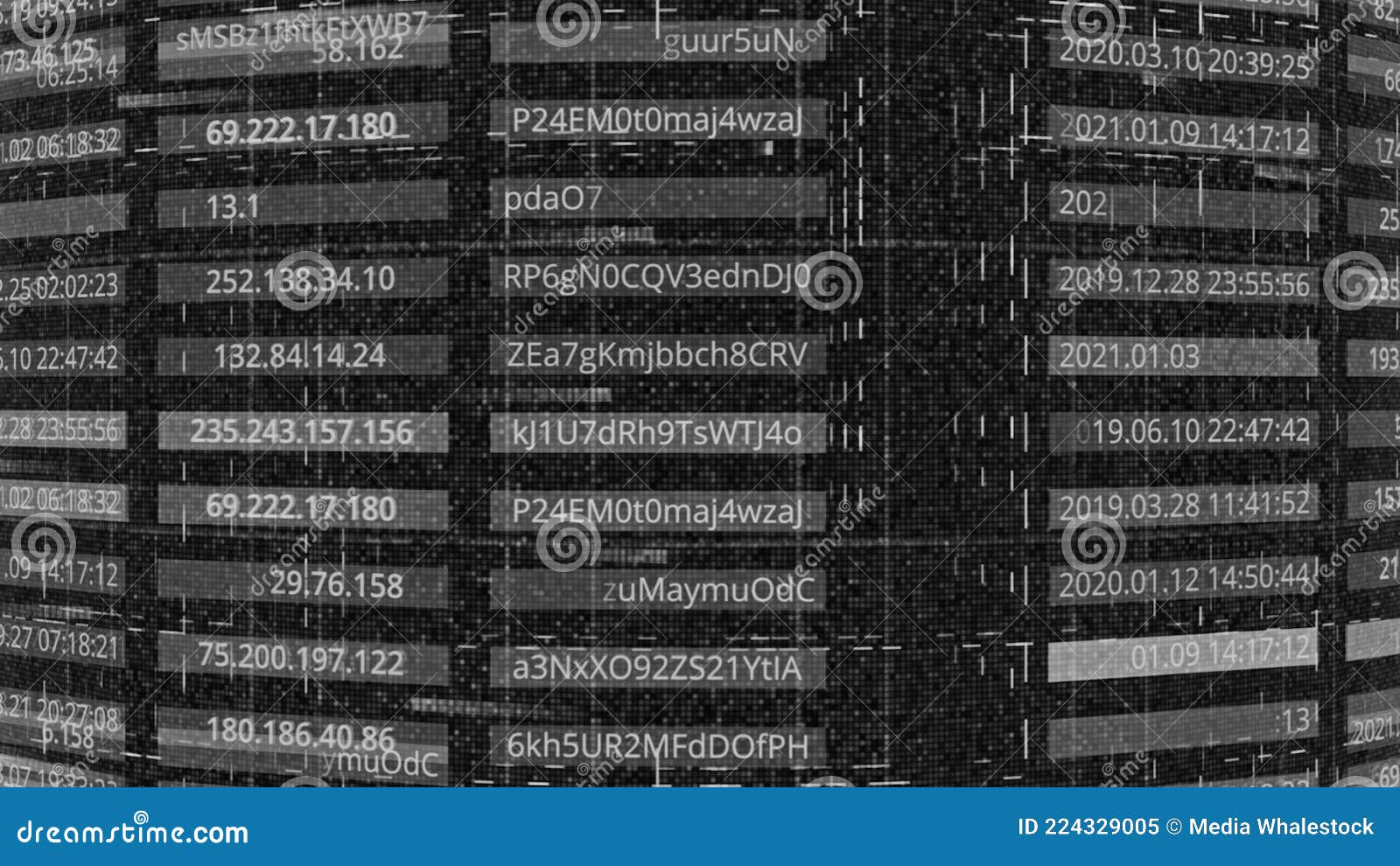 Database With Passwords Animation Data With Ip Addresses And