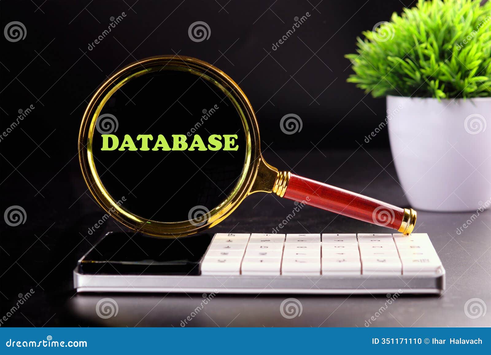 Database Under Magnifying Glass with Mobile Device and Plant on Modern ...