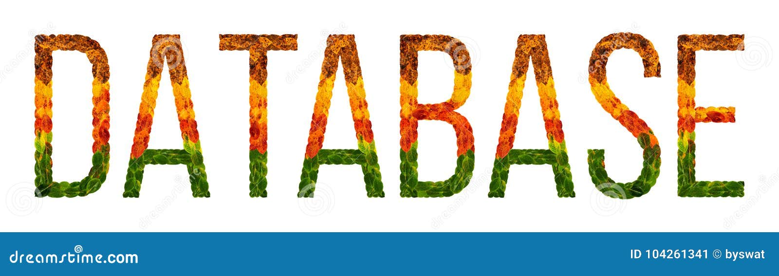 Word Database Written with Leaves White Isolated Background, Banner for ...