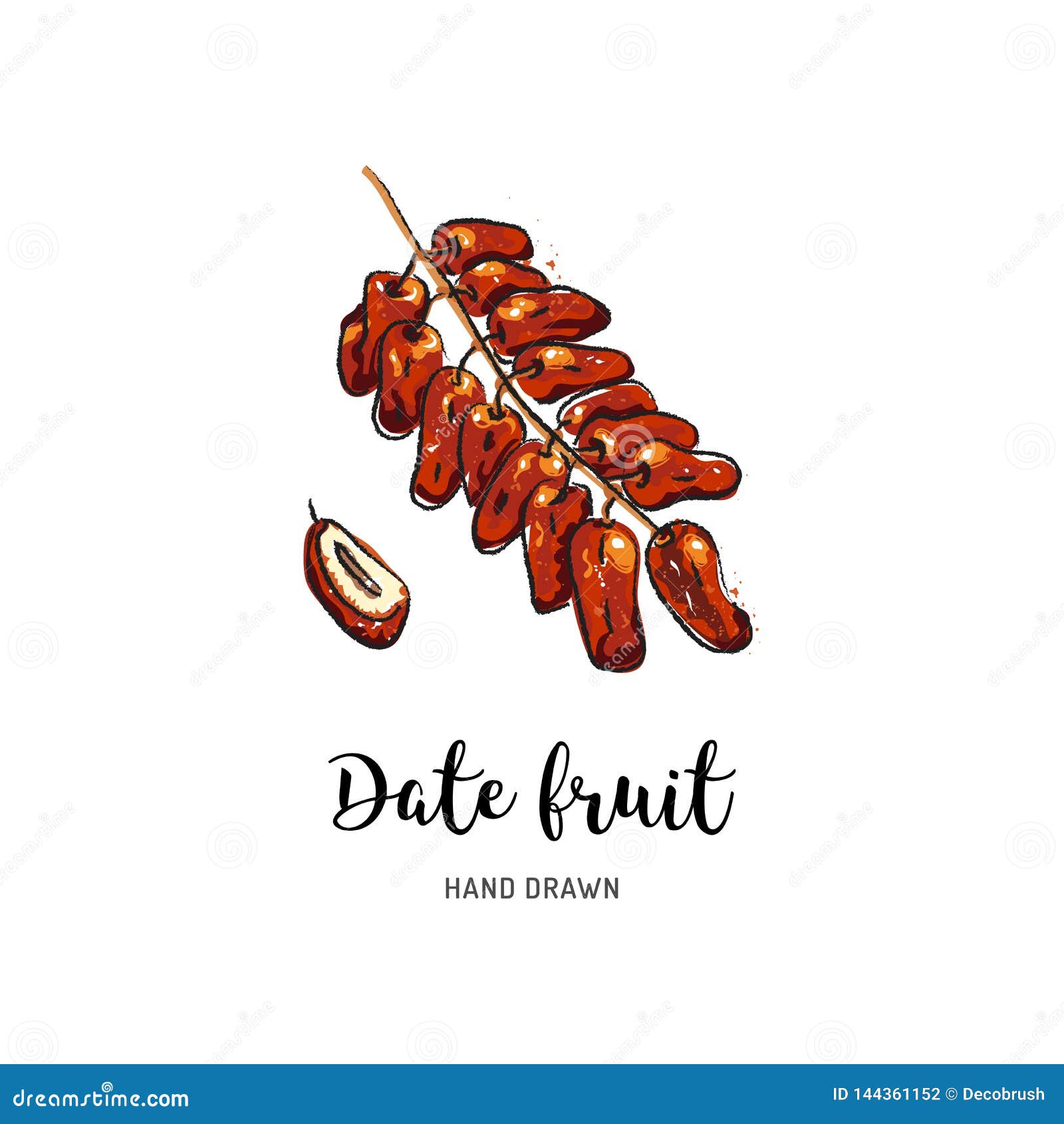 Date Fruit Drawing, Dried Dates. Watercolor Dates on Isolated White ...