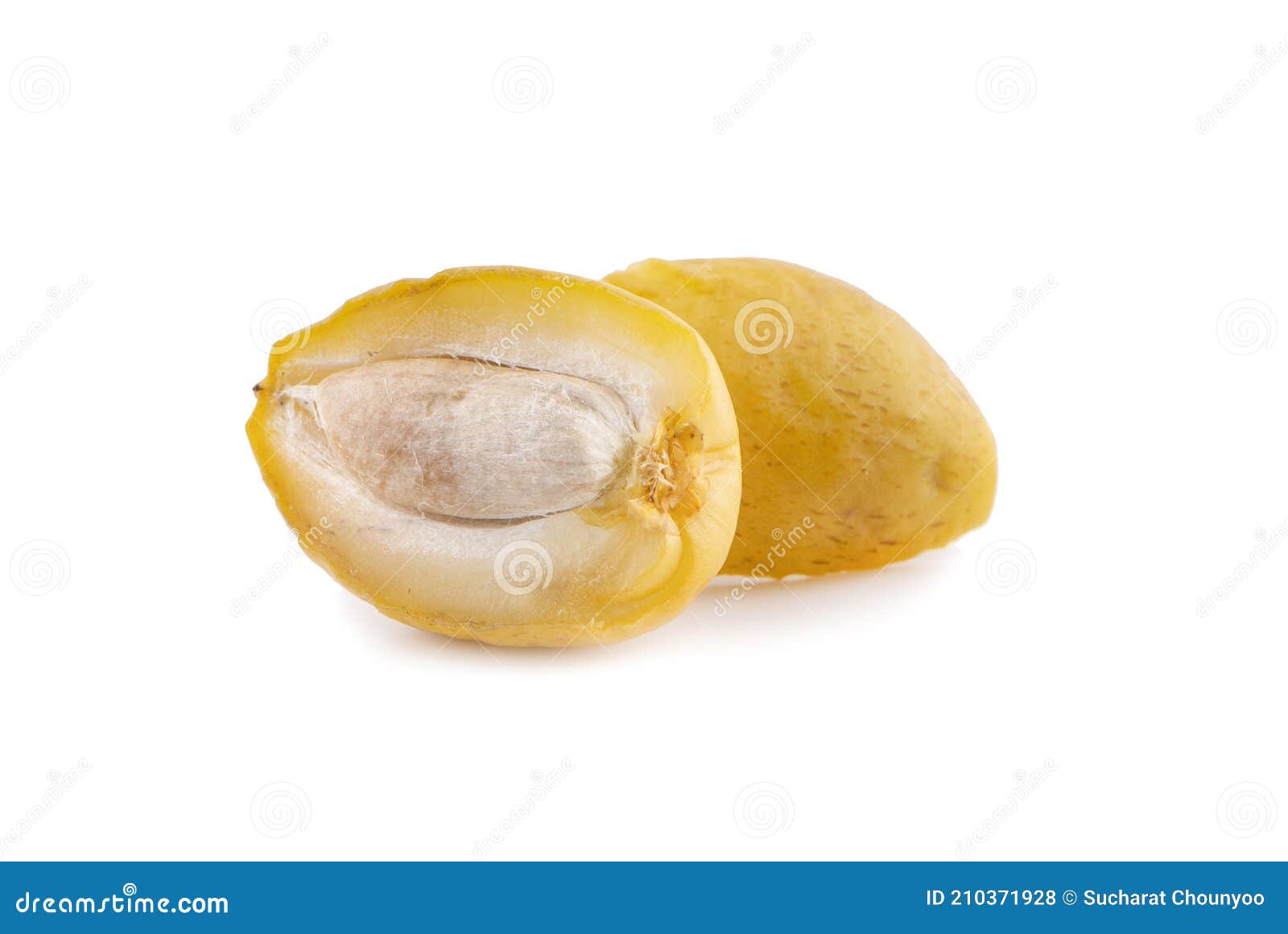 Date Fruit an Isolated on White Background Stock Photo - Image of ...