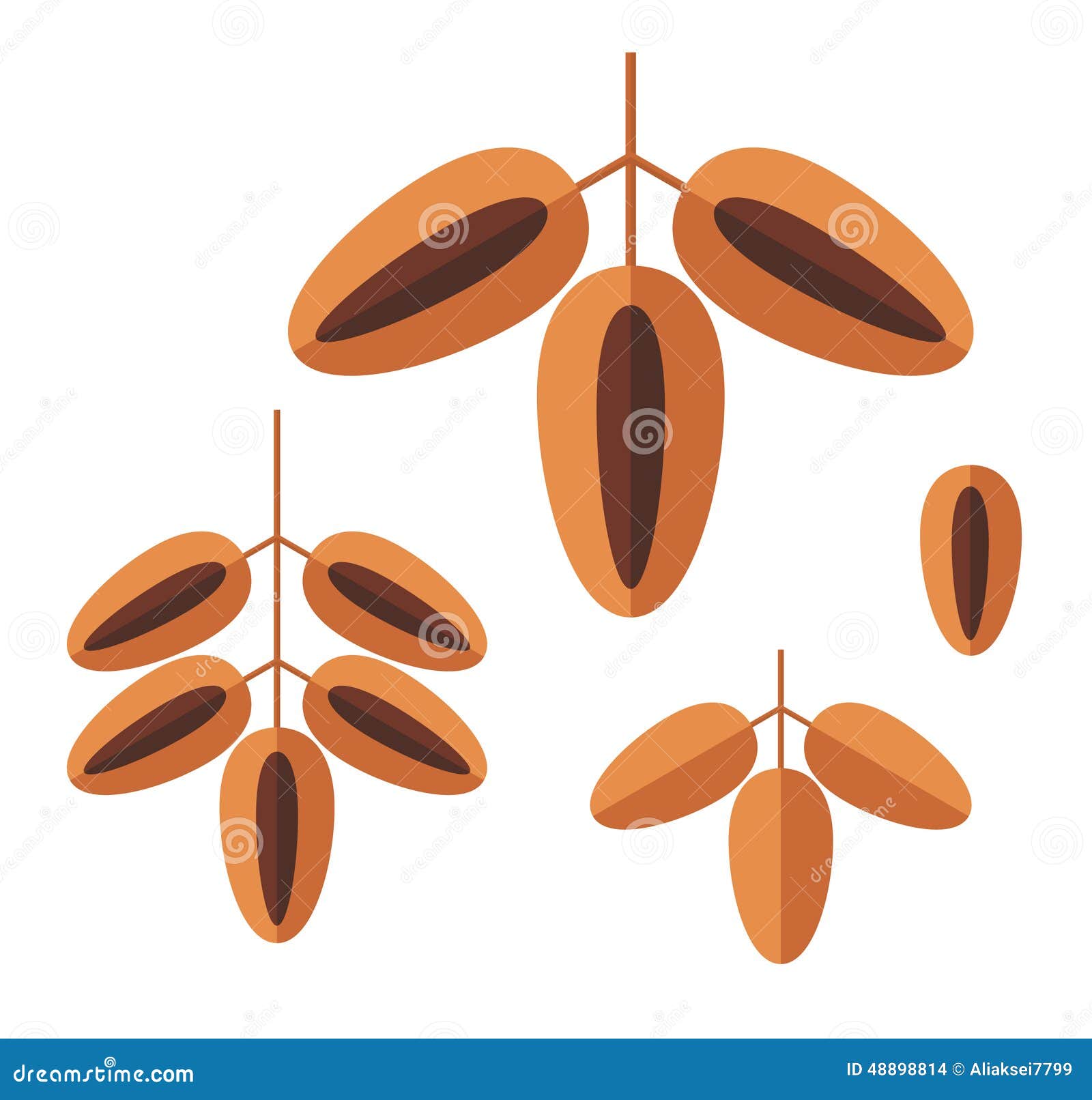 Date. Fruit stock vector. Illustration of healthy, eating - 48898814