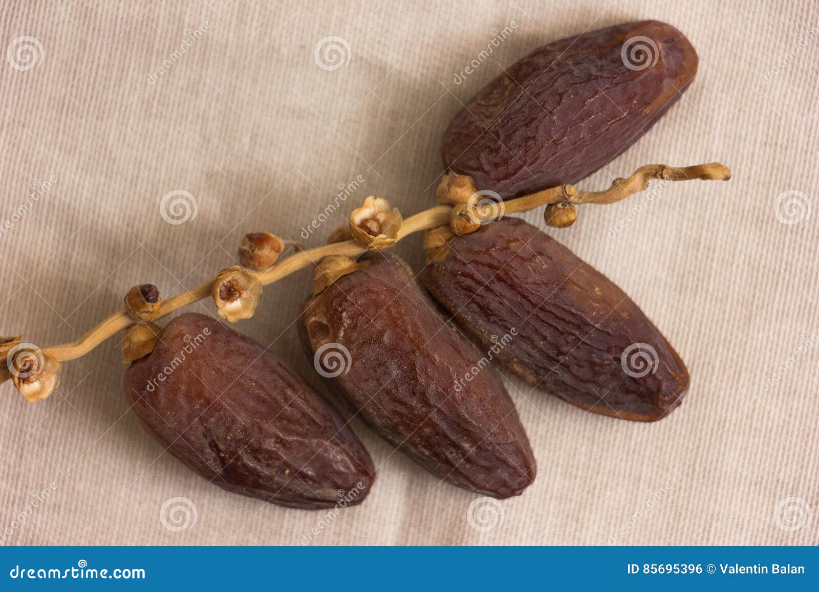 Date Fruits stock photo. Image of drupe, palm, nutrition - 85695396