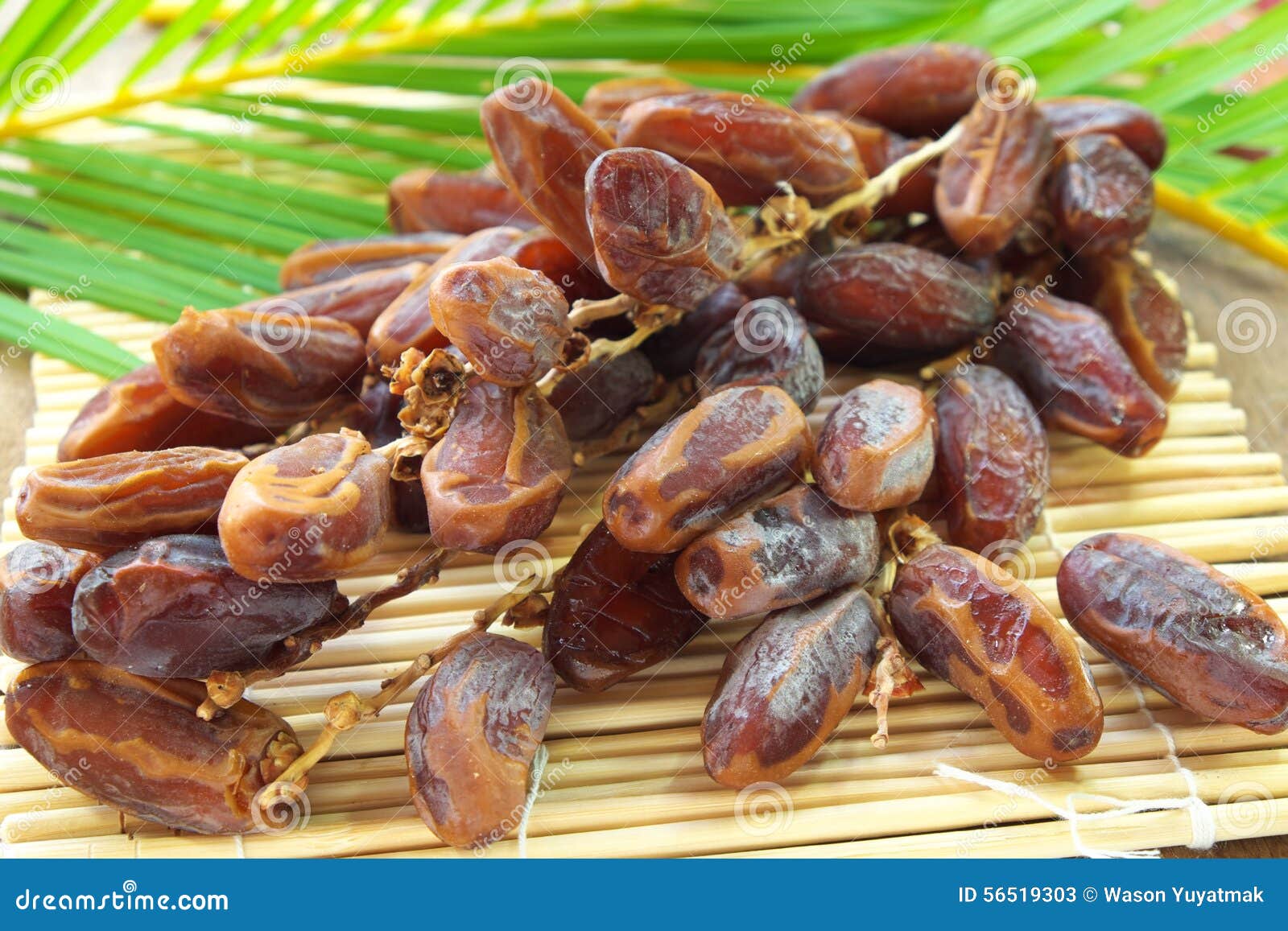 Date palm stock image. Image of middle, muslim, ingredient - 56519303