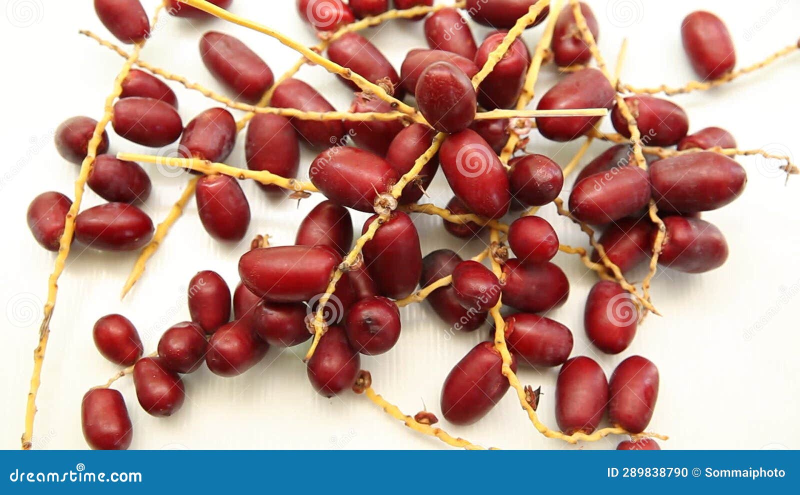 Date Palm Fruit Isolated on White Background Stock Footage - Video of ...