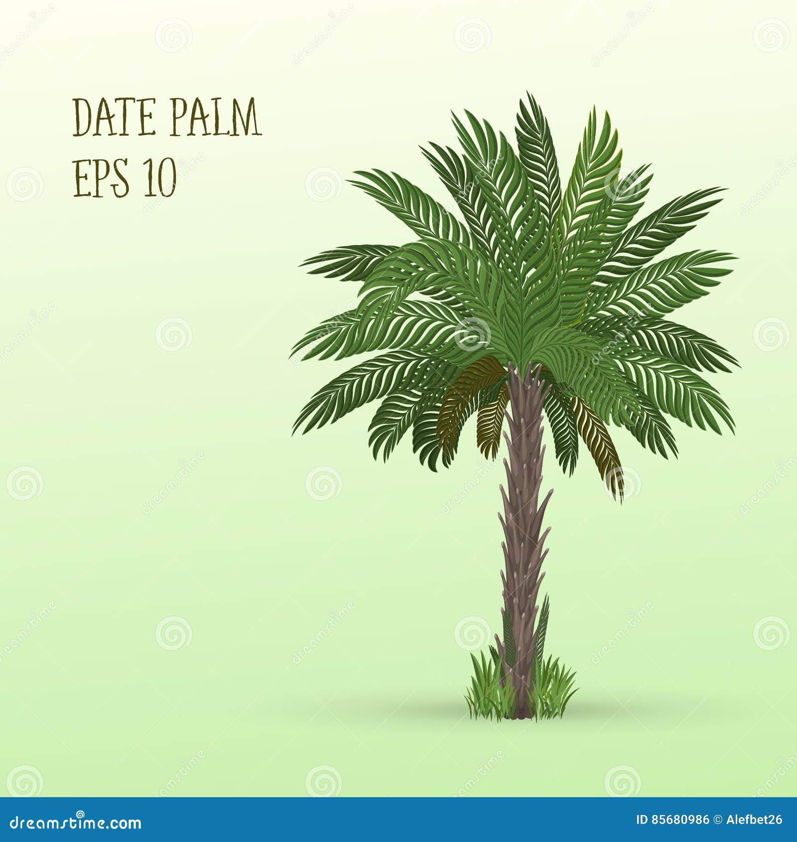 Date palm tree stock vector. Illustration of shavuot - 85680986