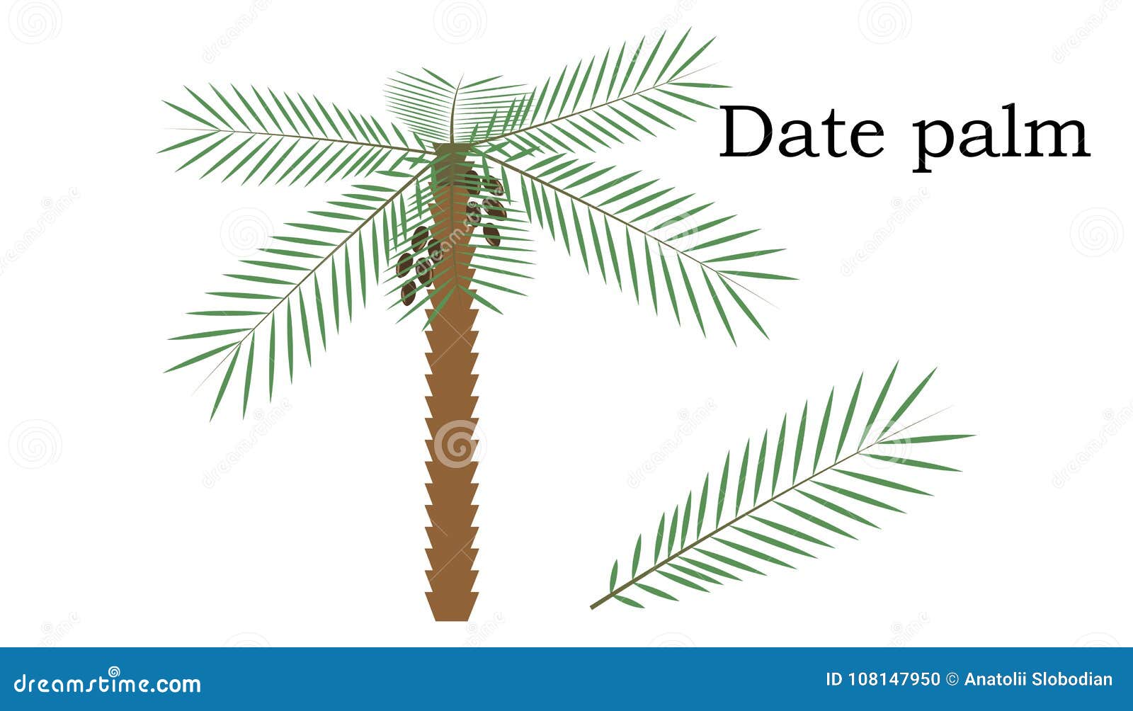 Date Palm Trees Vector Element. Vector Green Stock Vector ...
