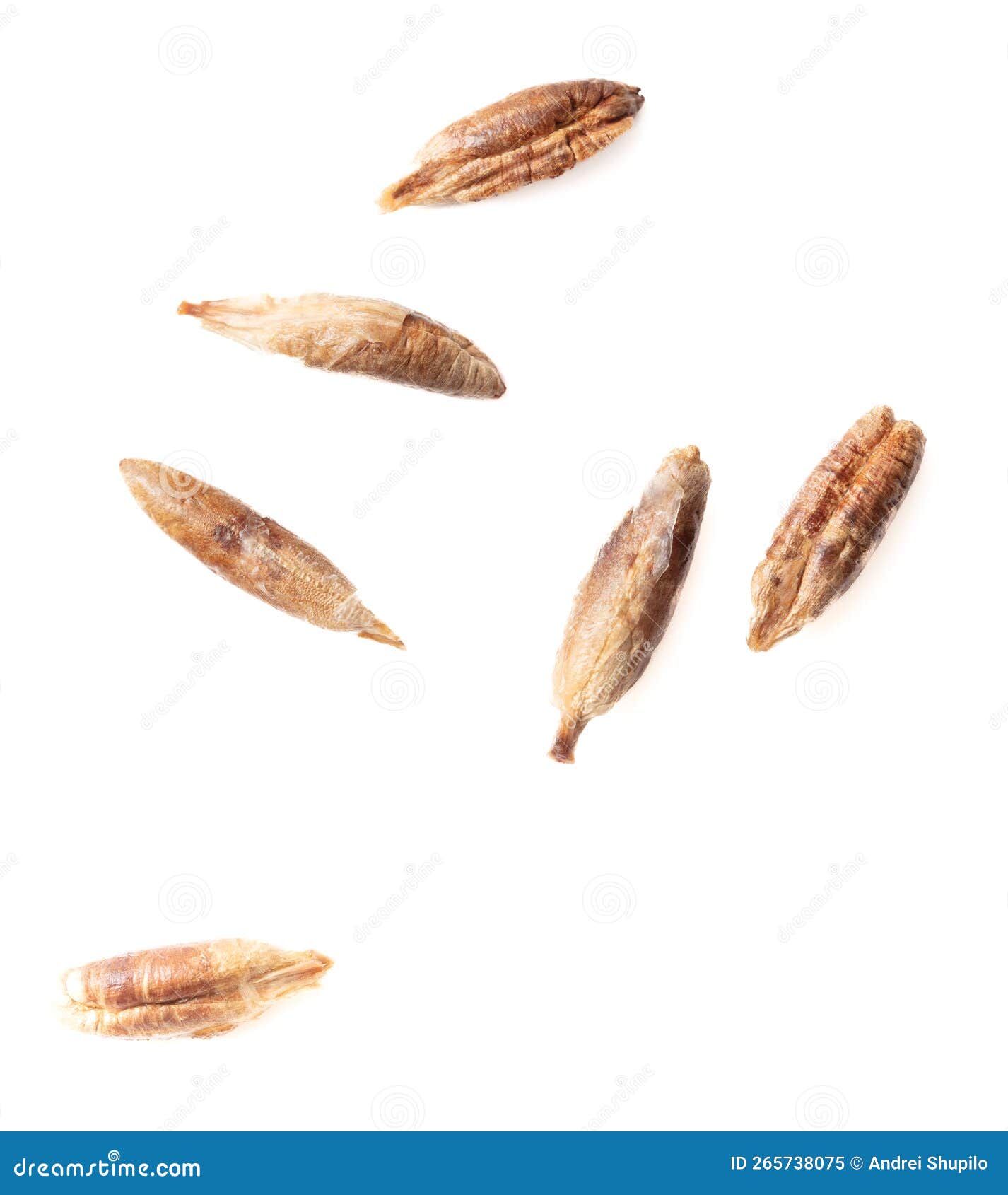 Date Pits Isolated on White Background. Stock Image - Image of sweet ...