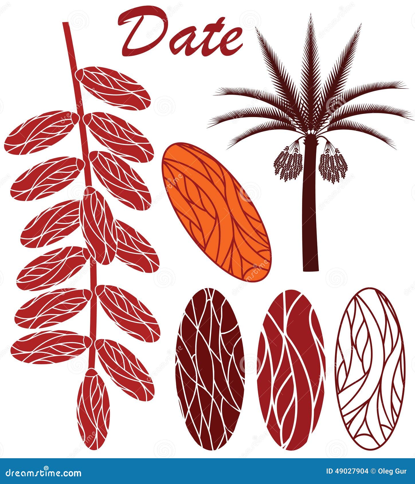 Date stock vector. Illustration of branch, nature, vector - 49027904