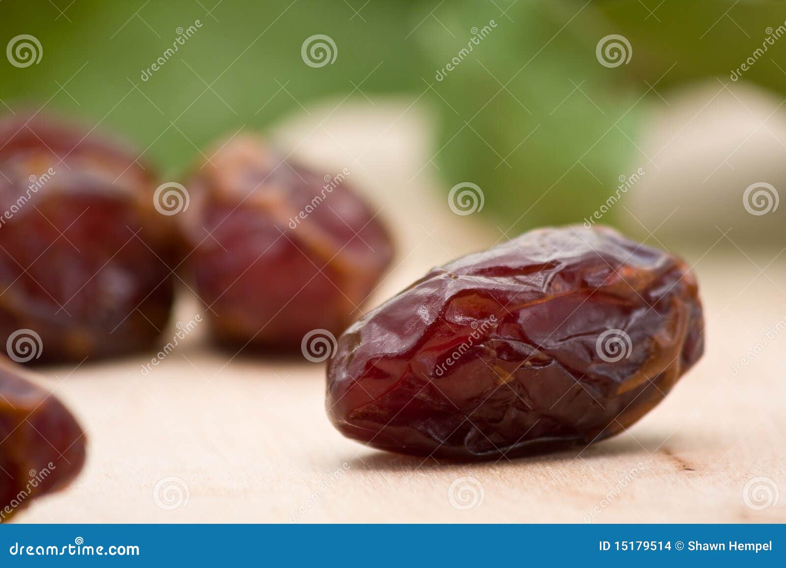 Dates stock photo. Image of drupe, date, middle, arabian - 15179514