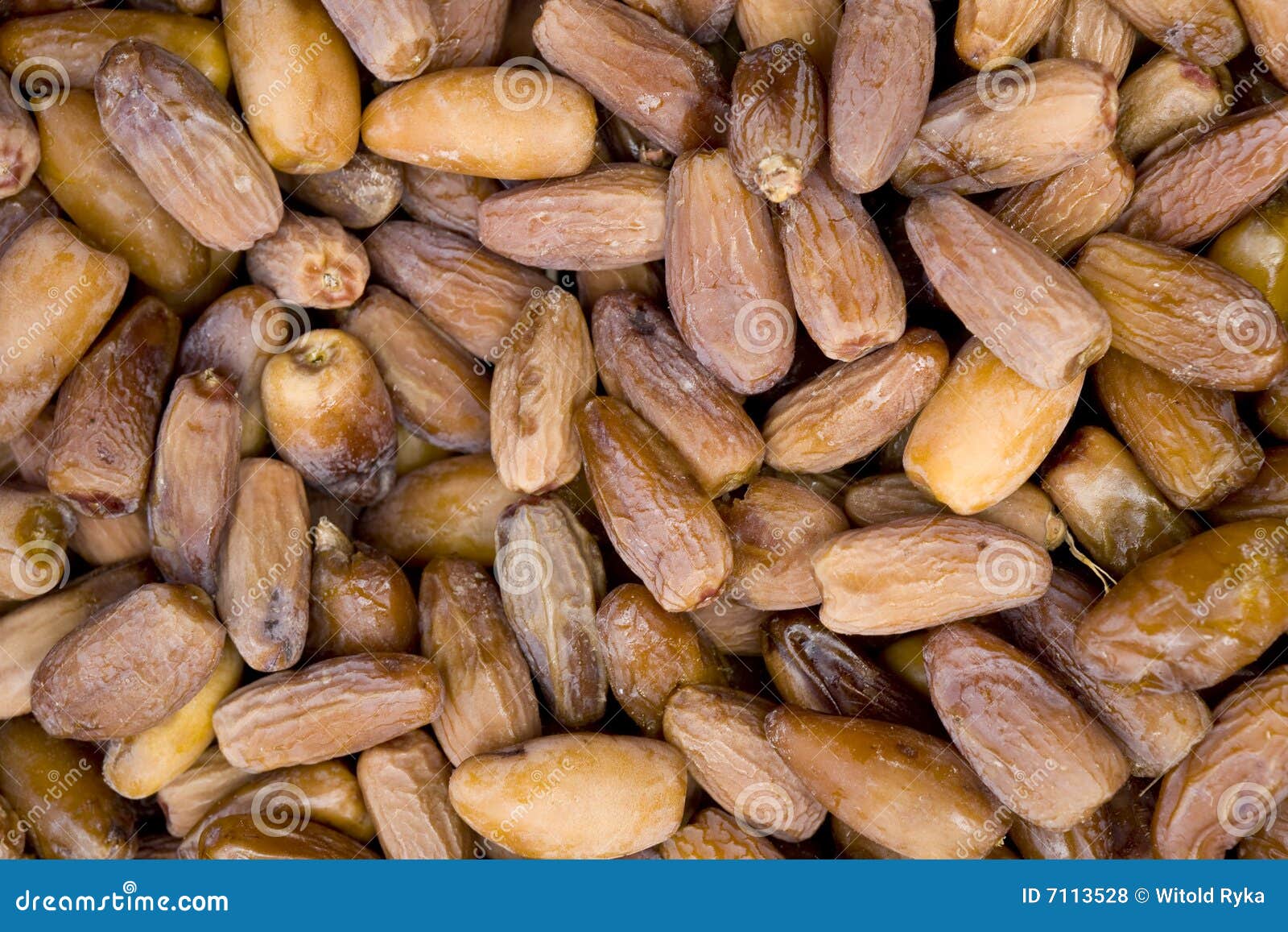 Dates background stock photo. Image of stack, heap, eating - 7113528