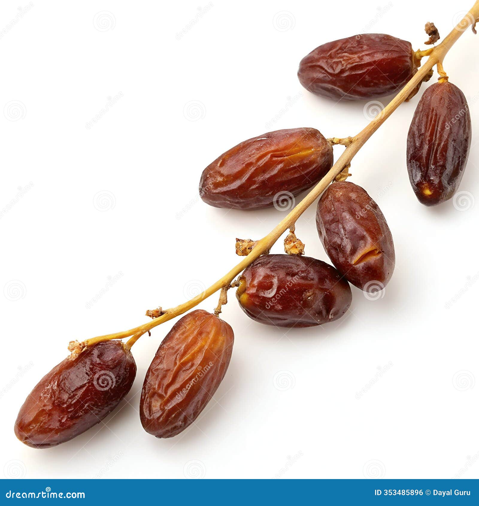 Dates Fruit Branch Isolated on White Background Stock Illustration ...