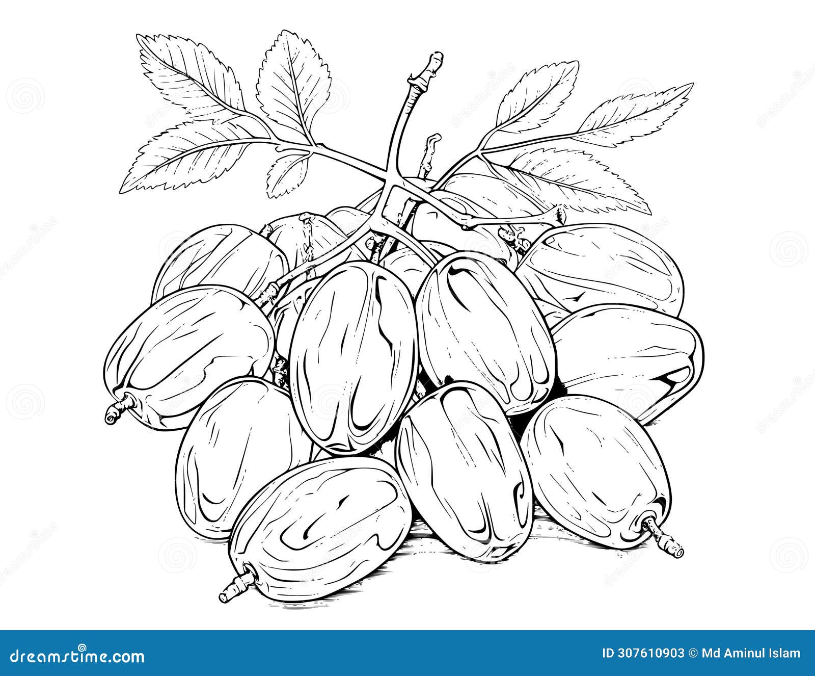 Dates Fruit Coloring Pages for Kids Stock Vector - Illustration of ...