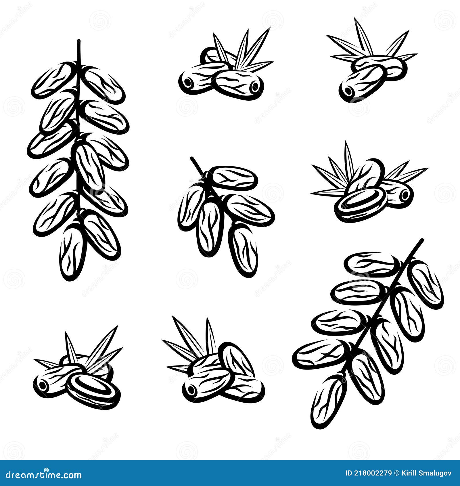 Dates Fruit Set. Collection Icon Dates Fruit Stock Vector ... Dates Fruit Set. Collection Icon Dates Fruit Stock Vector ...