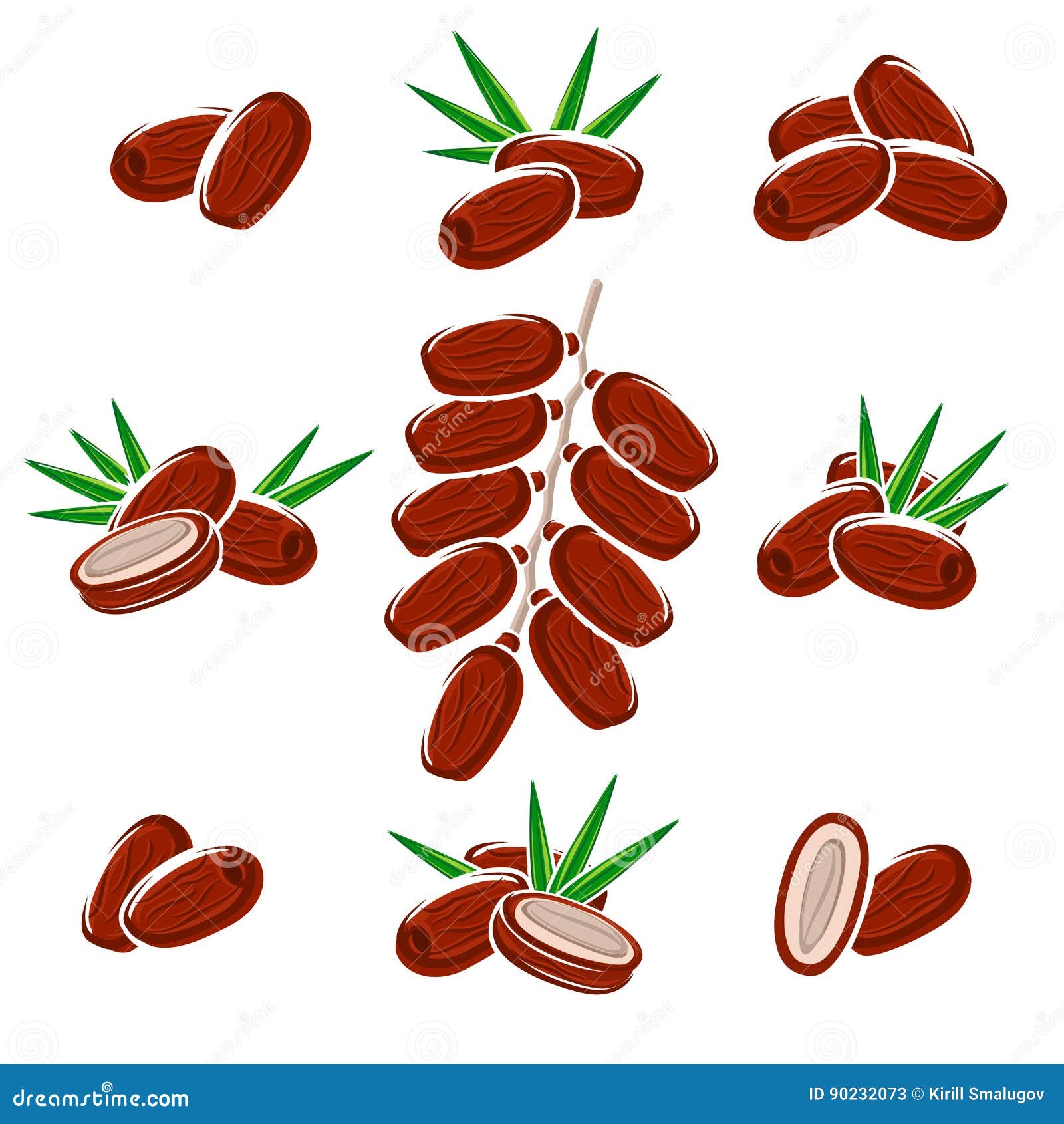 Dates fruit set. Vector stock vector. Illustration of fruit - 90232073