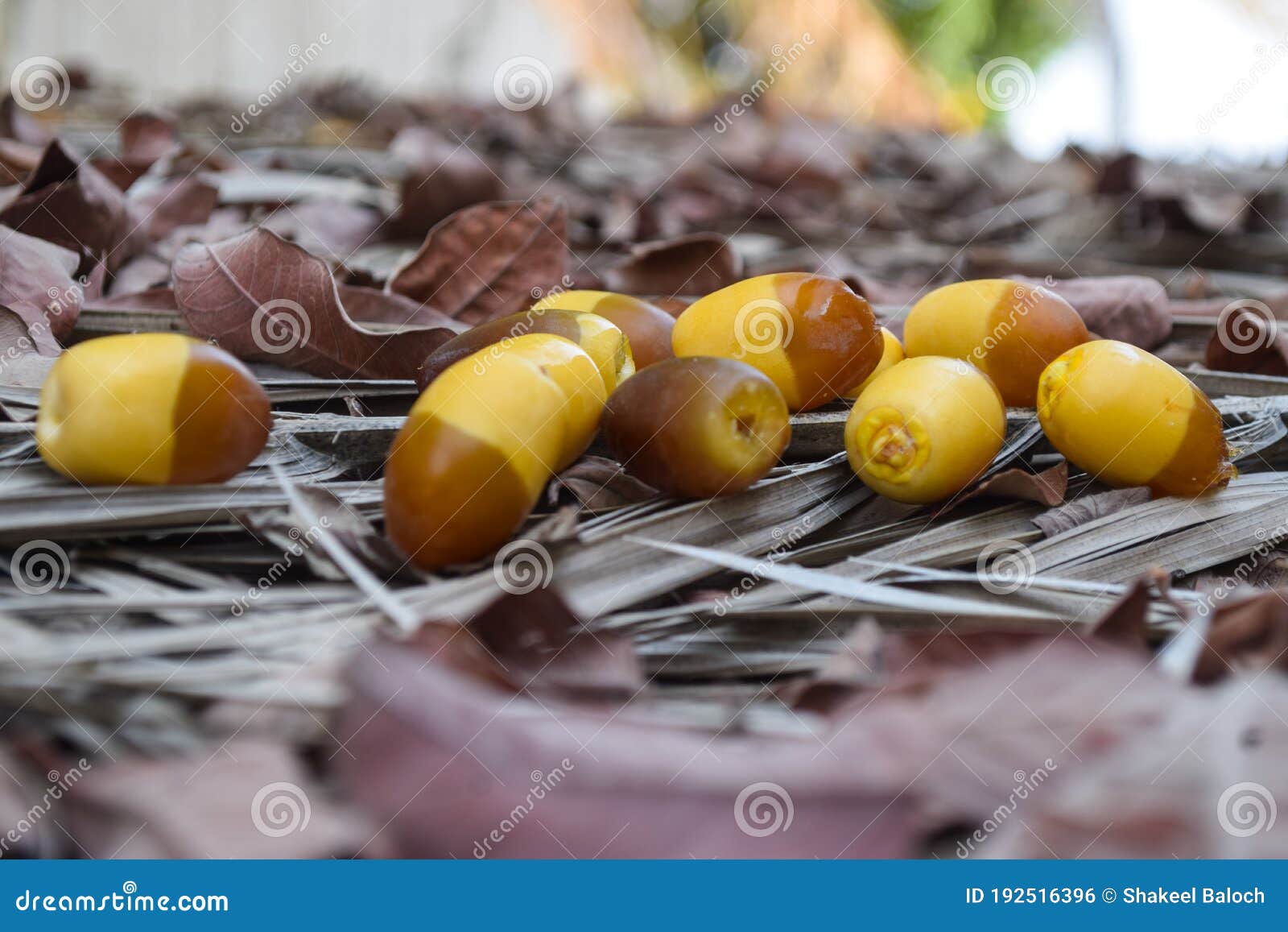 Dates Fruit Sweet Fresh Yellow Food Healthy, Energy Source Nutrition ...