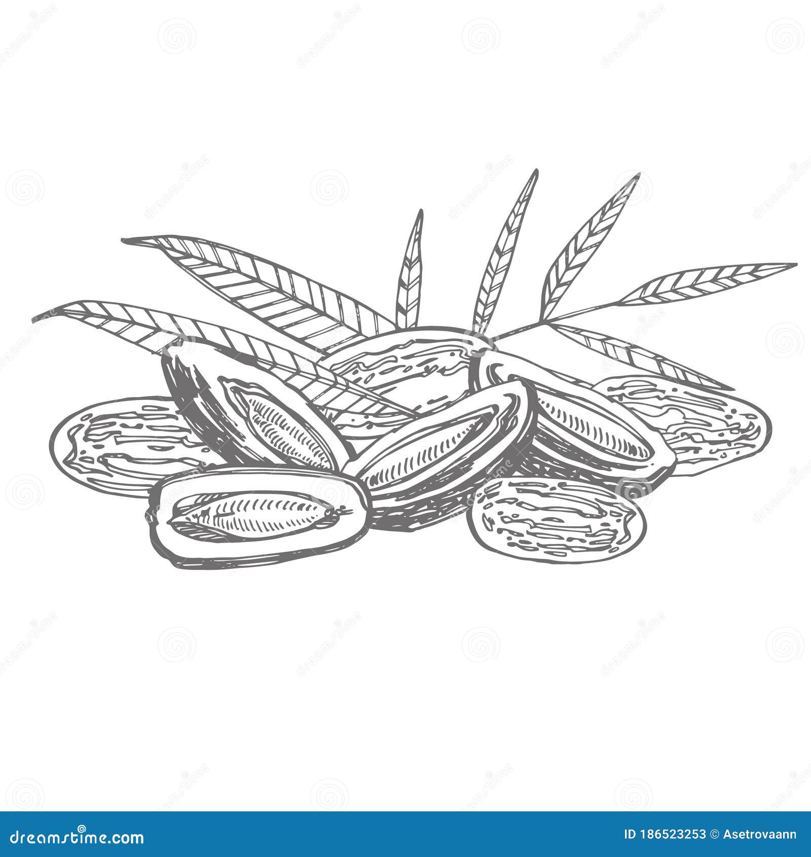 Dates, Hand-painted Watercolor Set Royalty-Free Stock Image ...