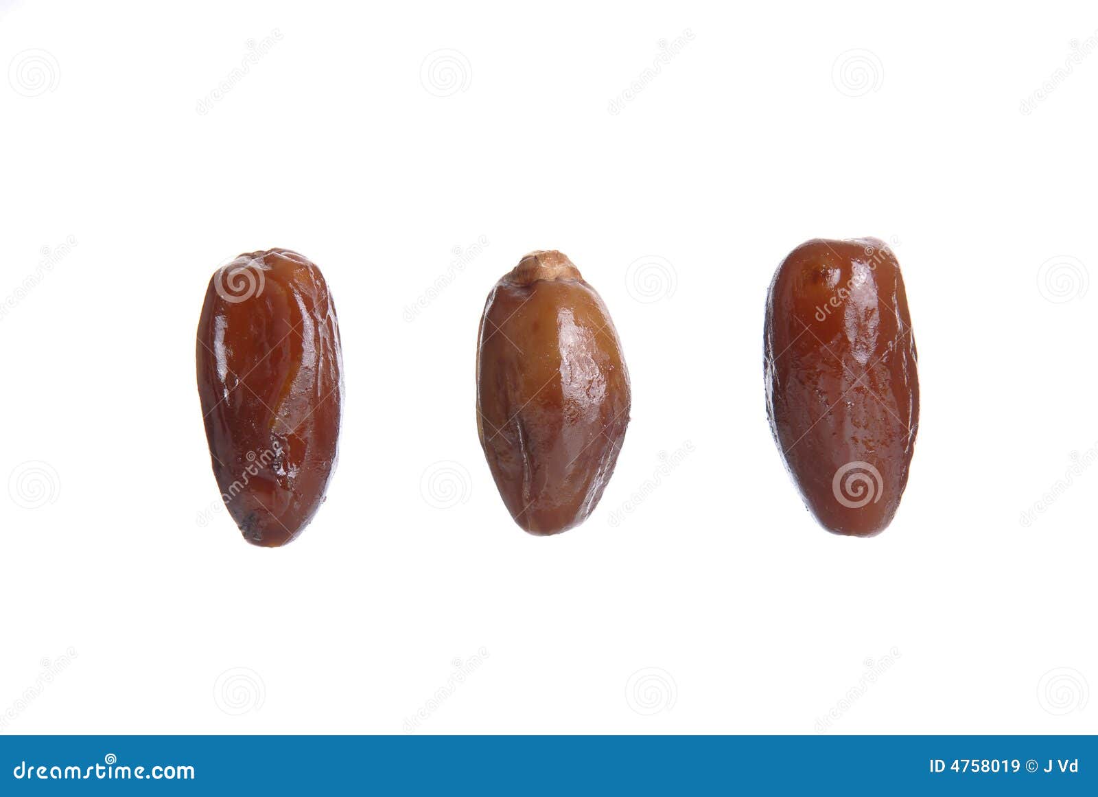 Big Dates Isolated. Date Palm Fruits Royalty-Free Stock Image ...
