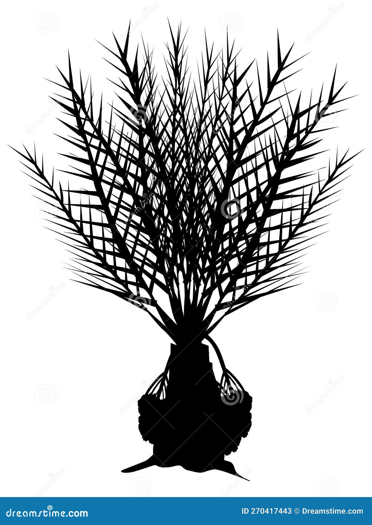 Dates Tree Silhouette Isolated on White Stock Illustration ...