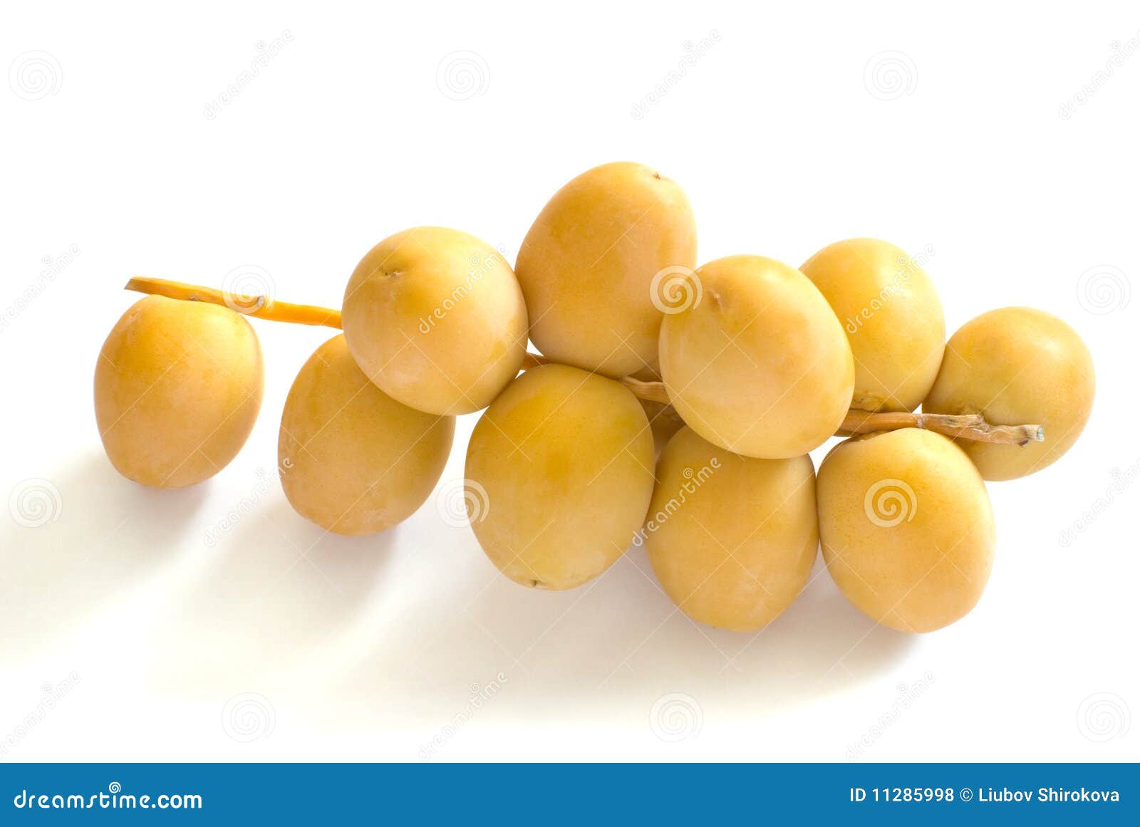 Datte fraîche photo stock. Image du fraîche, datte - 11285998