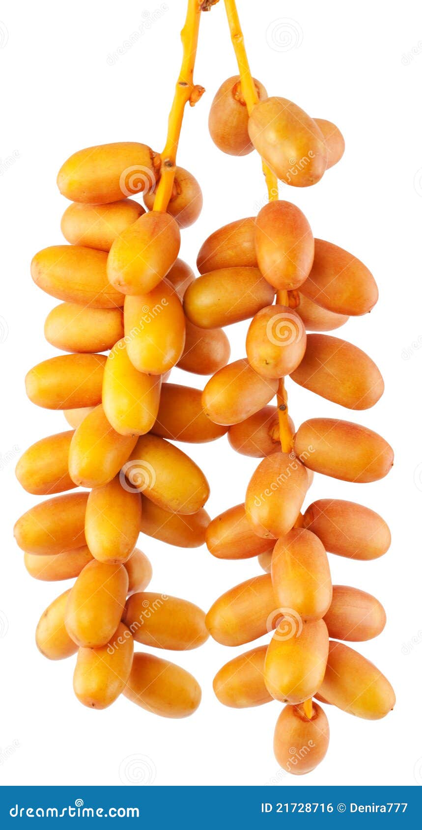 Datte fraîche Fruites photo stock. Image du frais, tropical - 21728716