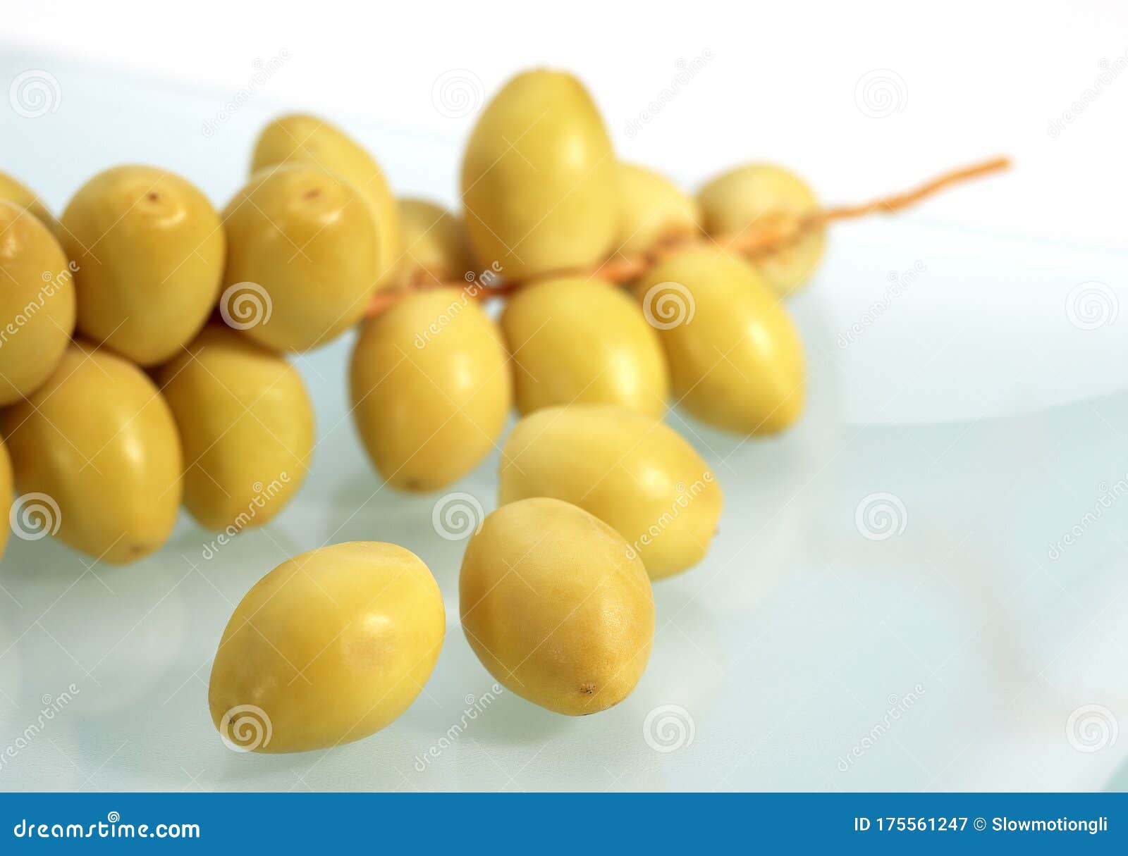 Fresh Dates, Phoenix Dactylifera Against White Background Stock Image ...
