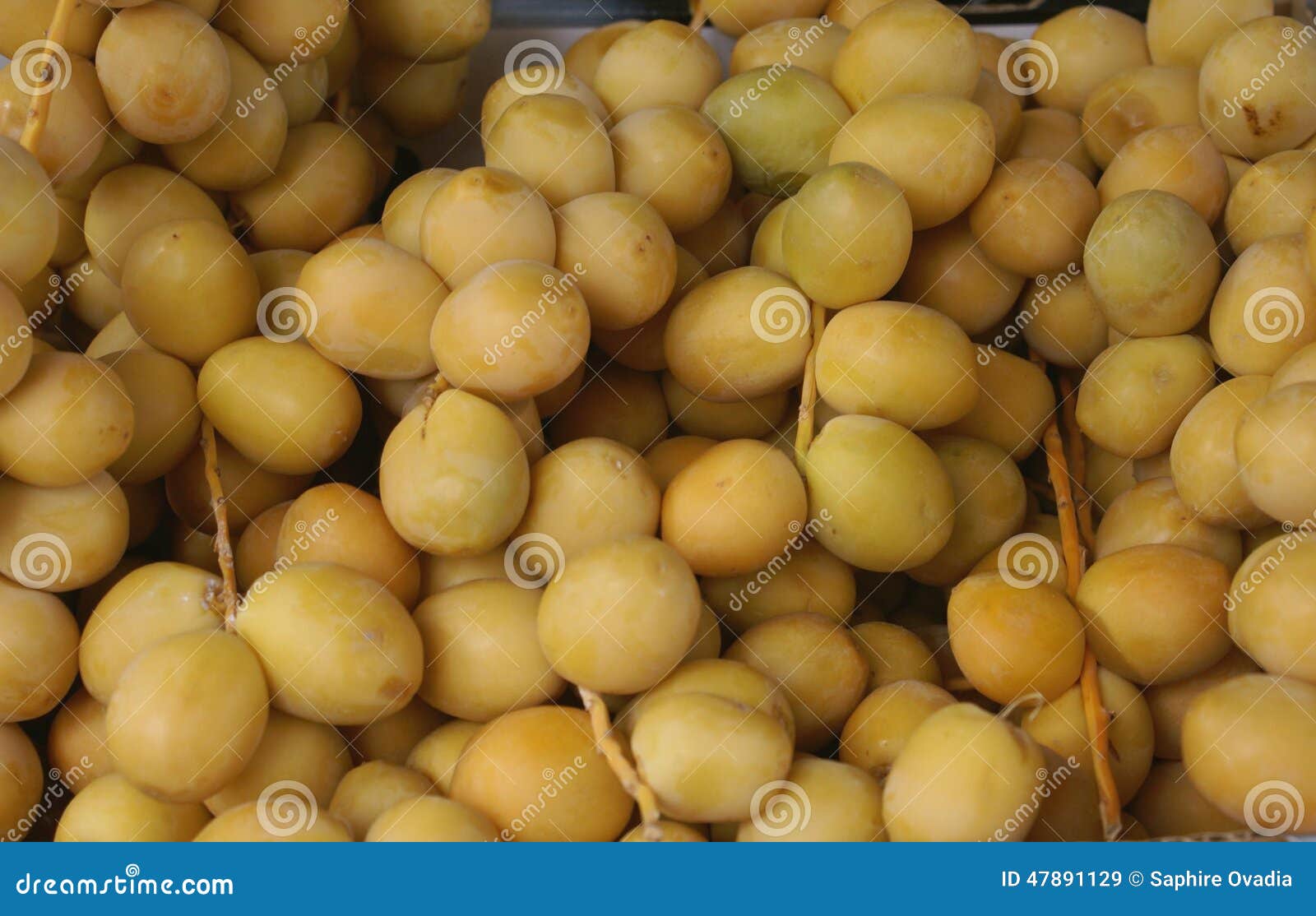 Datte Fruit Tropical Palmier Dattier Image stock - Image du tropical ...