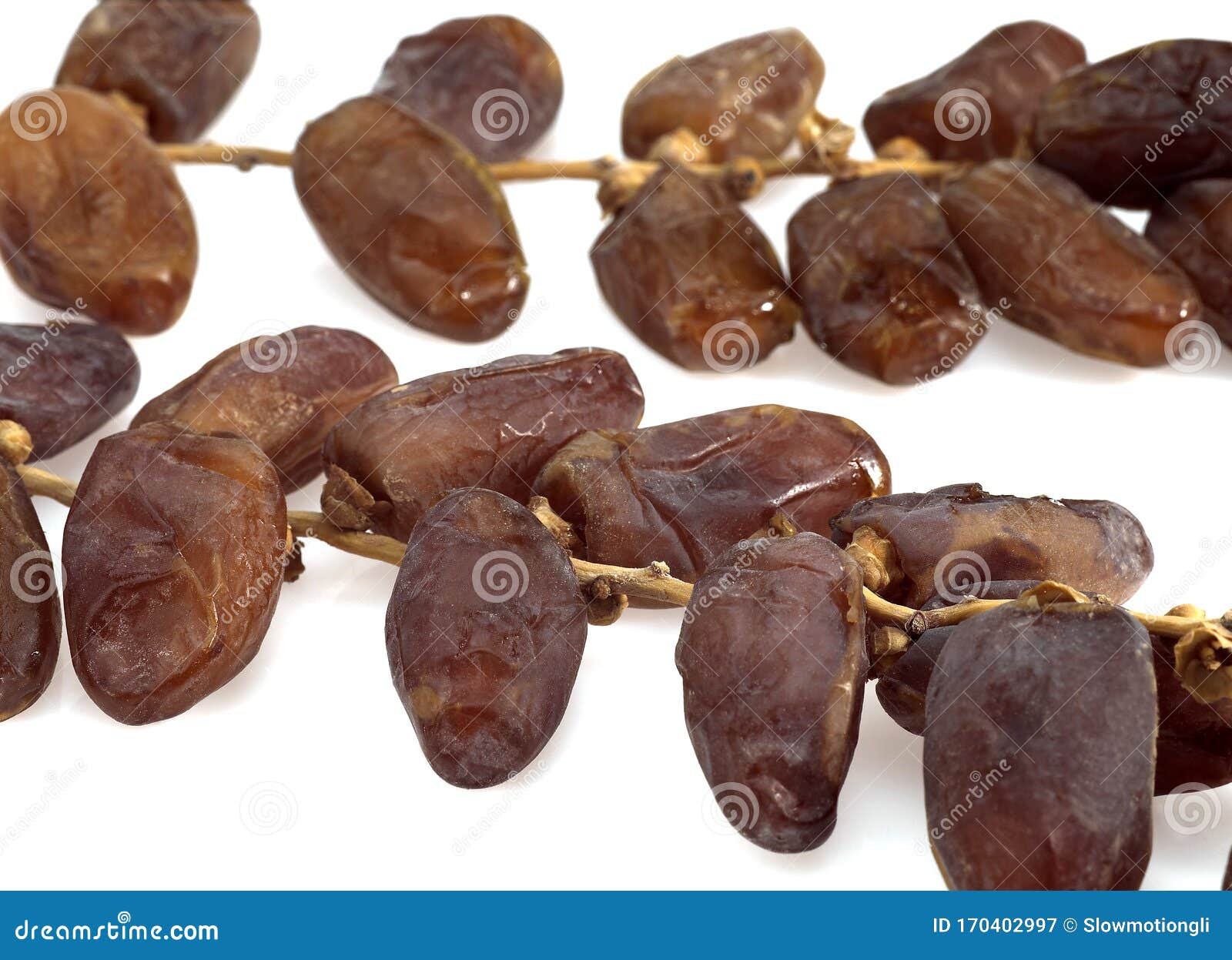 DATTE SECHEE stock image. Image of phoenix, inside, botany - 170402997