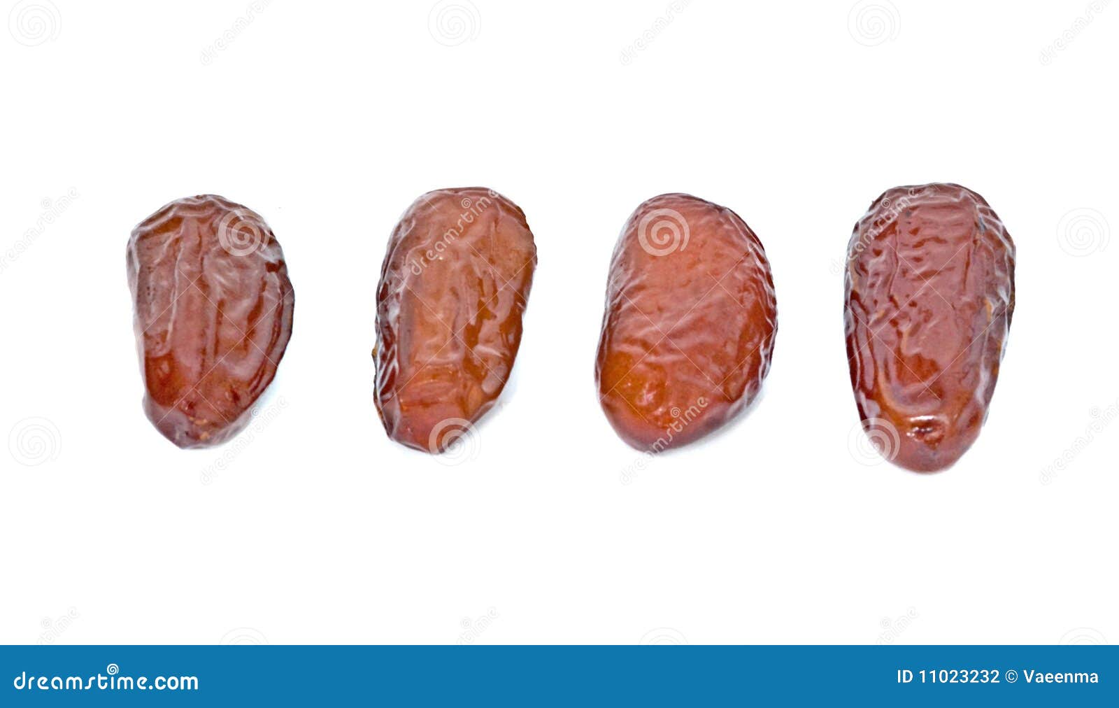 Datteri secchi fotografia stock. Immagine di isolato - 11023232