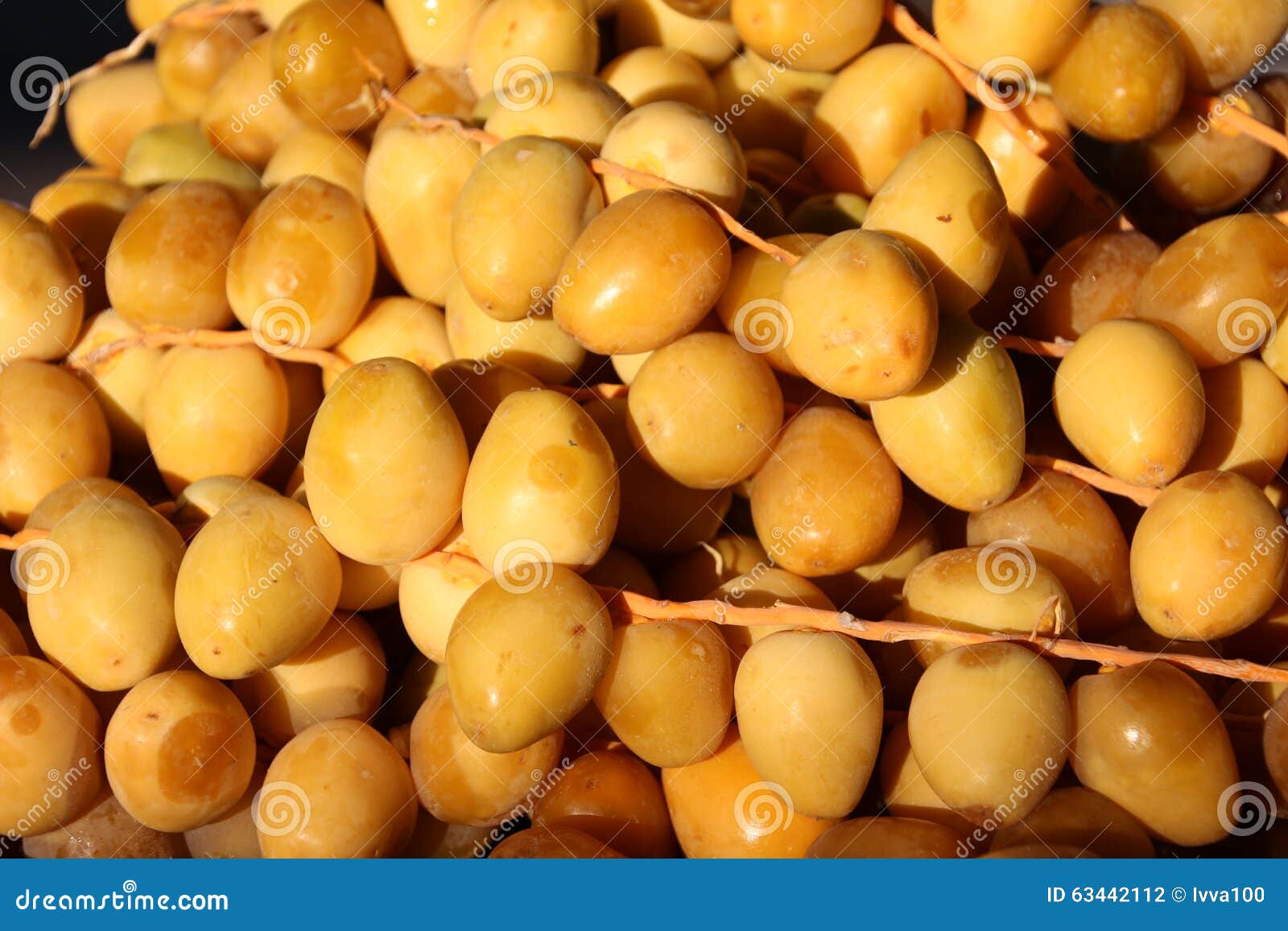 Dattes jaunes photo stock. Image du fruits, fermiers - 63442112